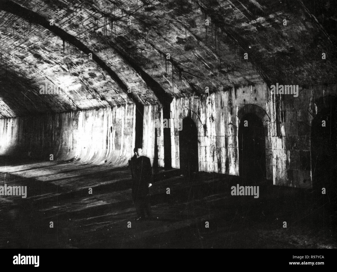 Original film title: THE THIRD MAN. English title: THE THIRD MAN. Year ...