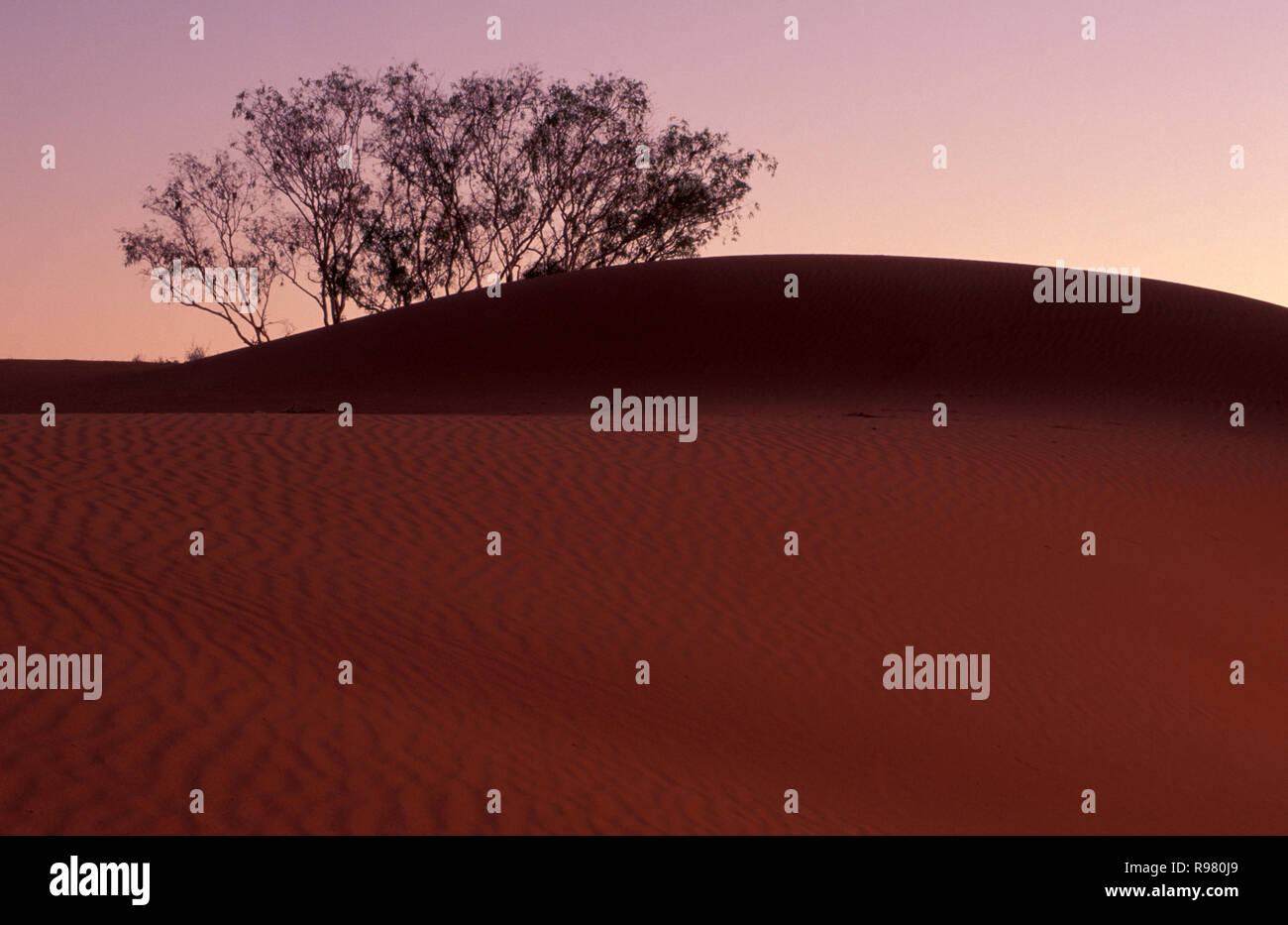 SAND DUNES IN THE MOOMBA GAS FIELDS, SOUTH AUSTRALIA Stock Photo - Alamy