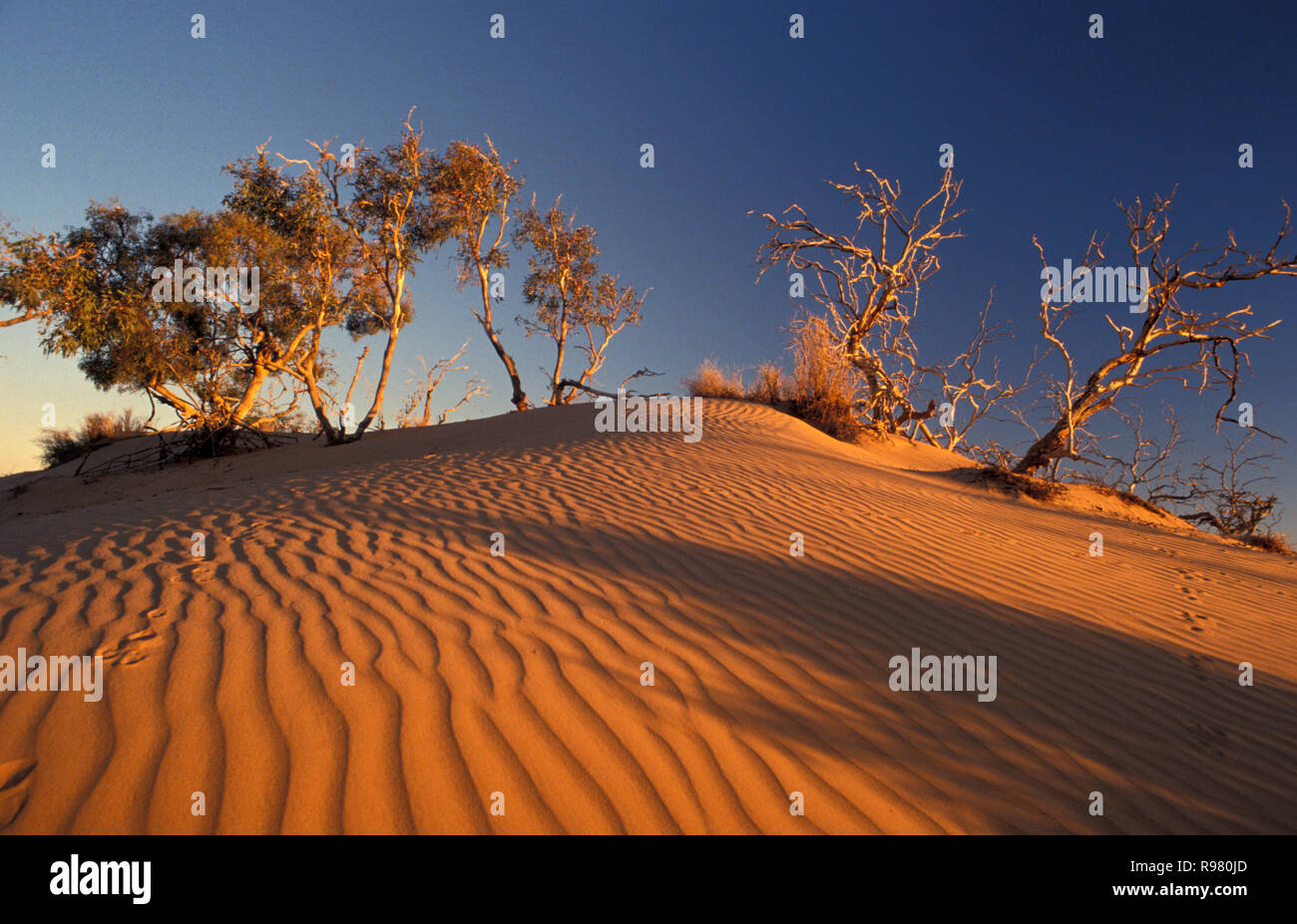 Moomba Australia High Resolution Stock Photography and Images - Alamy