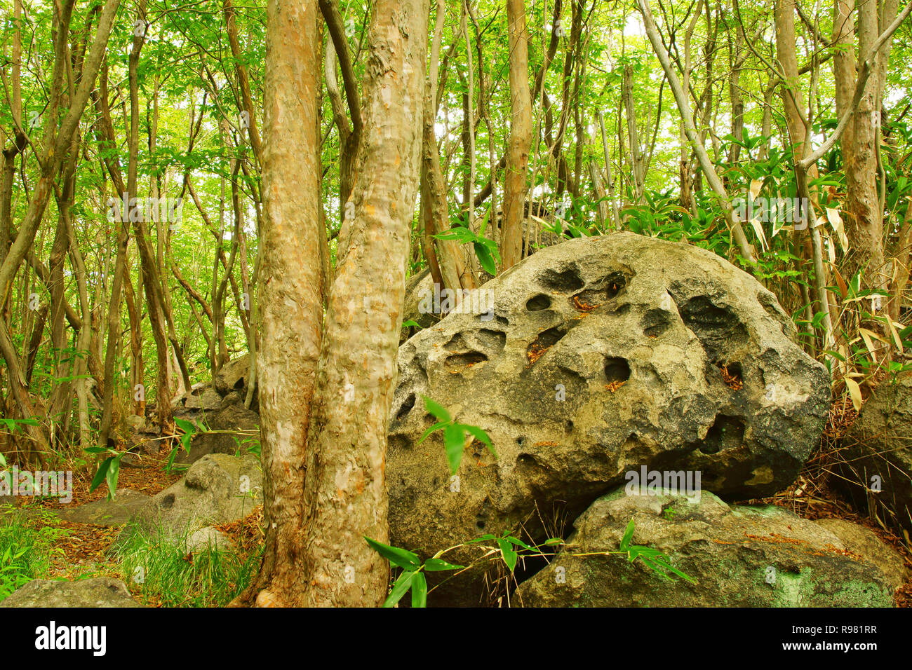 Strangely Shaped Rocks High Resolution Stock Photography and Images - Alamy