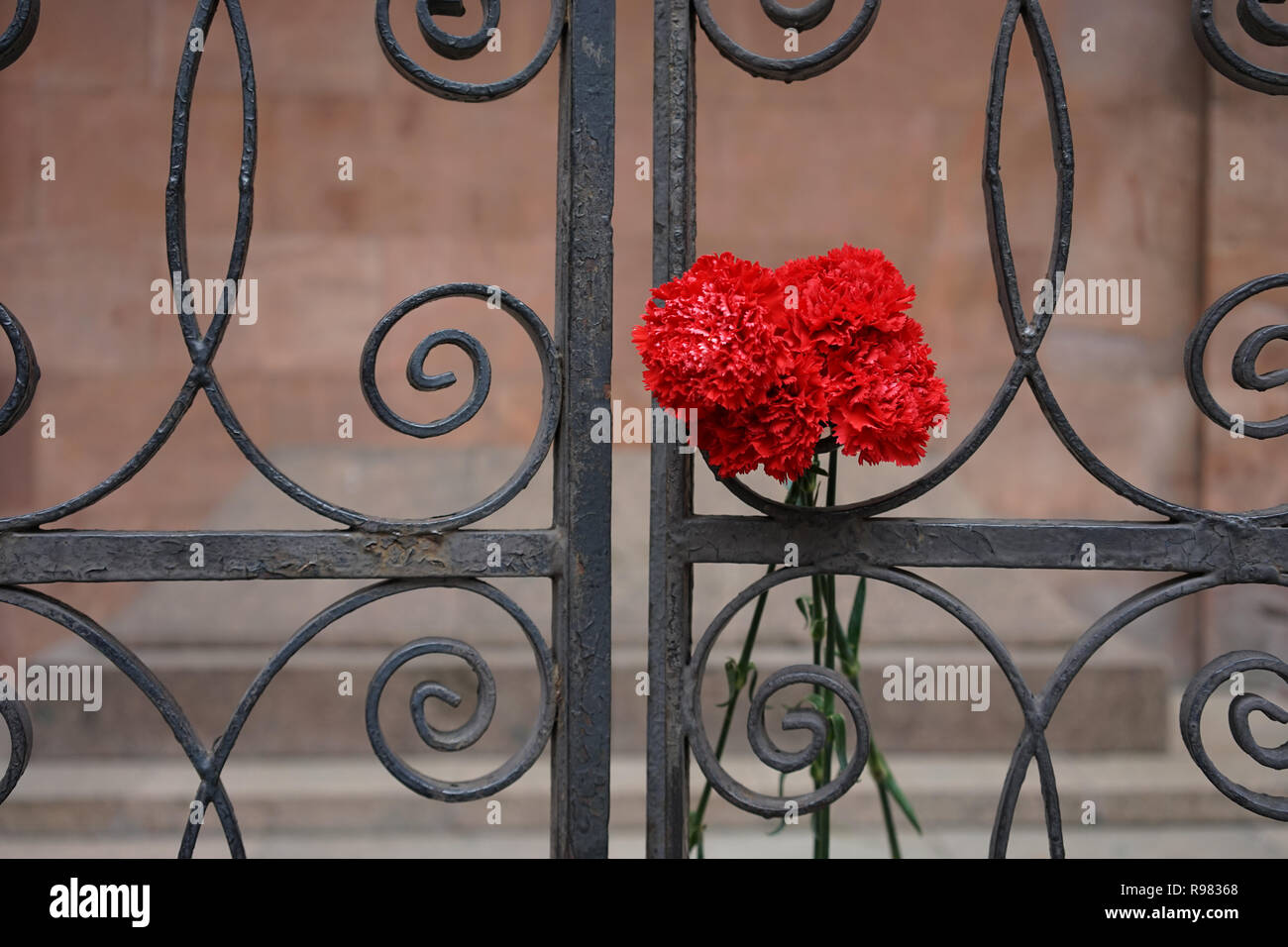 Bouquet of red carnations on the metal fence of Kant's grave Stock ...