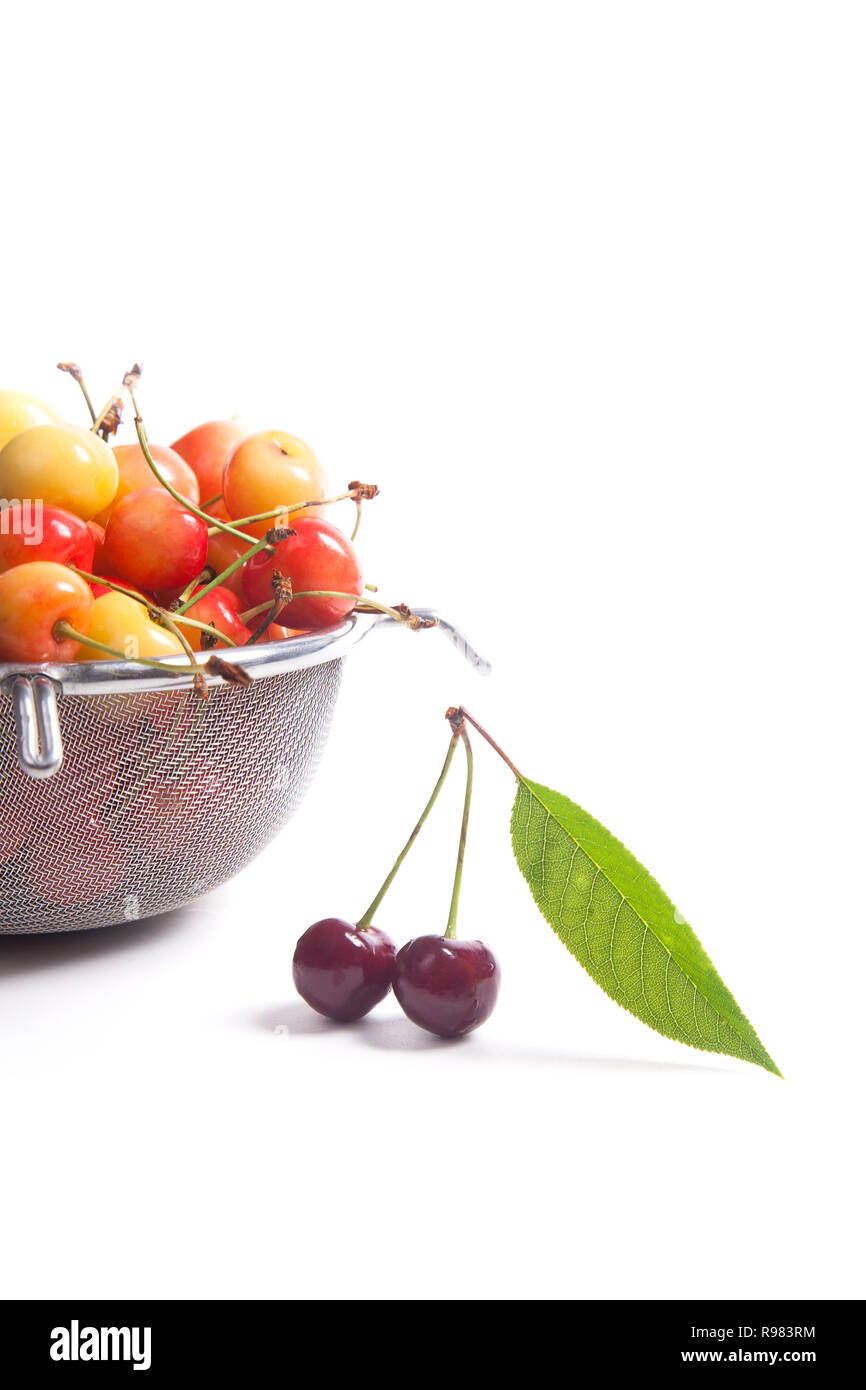Steel colander with ripe berries of yellow and red sweet cherries and ...