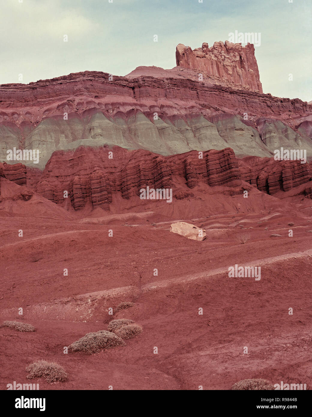 The gray-green Chinle formation is a striking contrast to the red ...