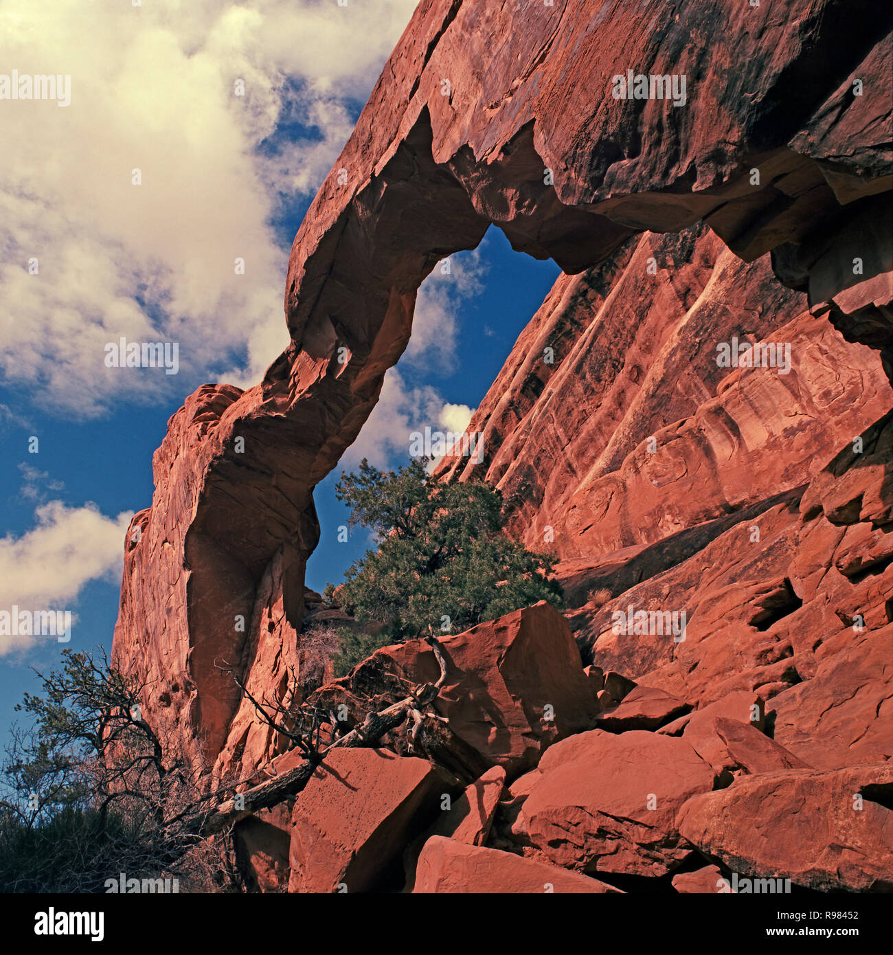 Wall arch collapsed on August 4, 2008 about 12 years after this ...