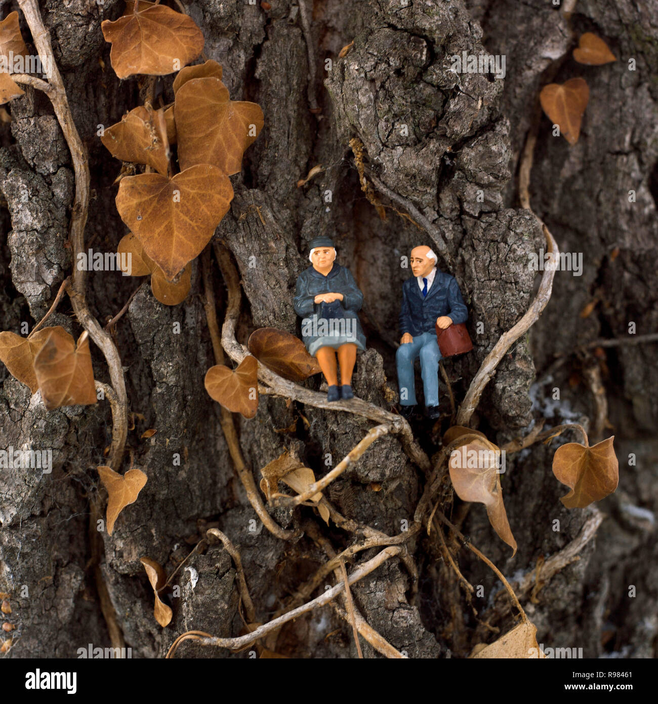 Miniatures representing of the grand-parents in a tree trunk surrounded ...