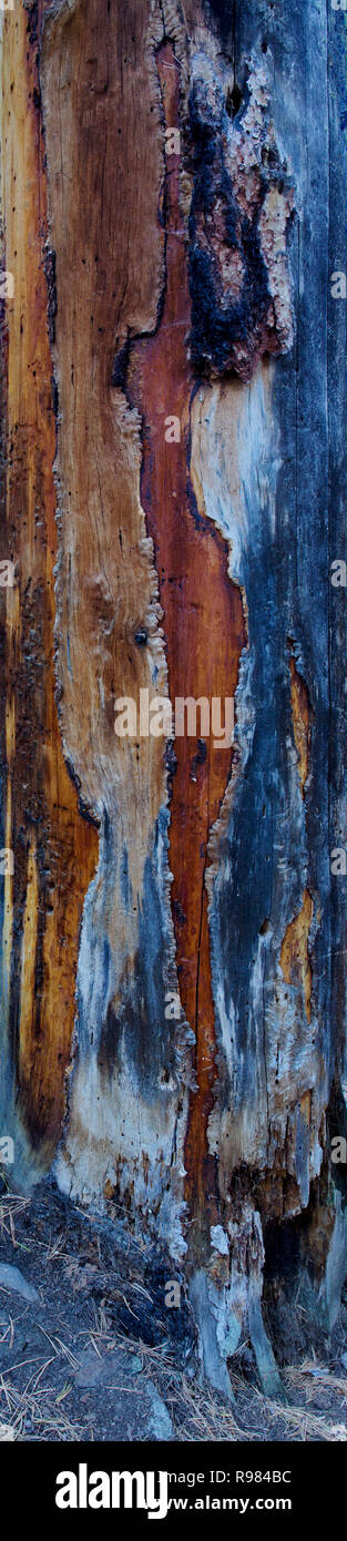 Cool Lightning Scars