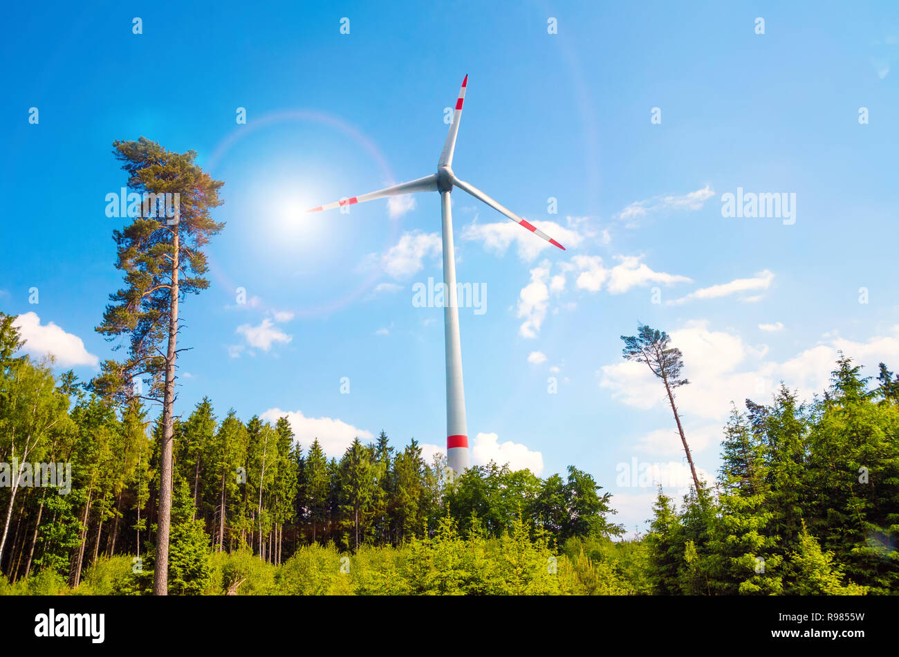 windmill with the pine trees Stock Photo - Alamy