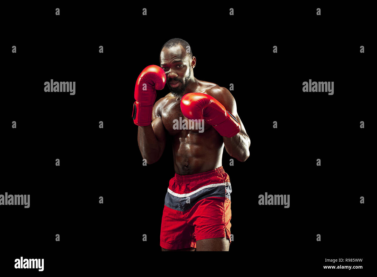 Hands of boxer over black background. Strength, attack and motion ...