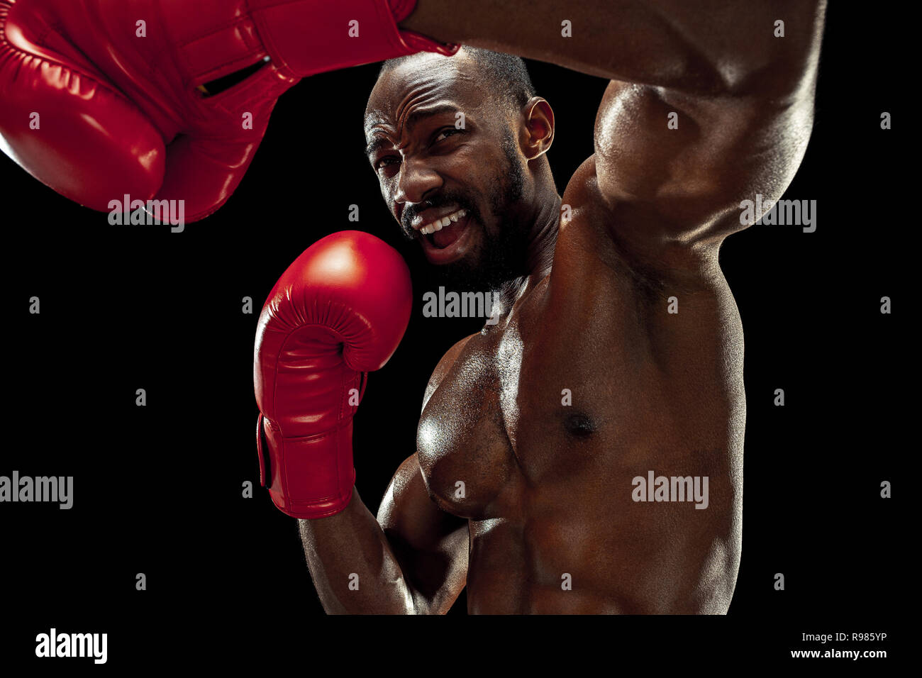 Hands of boxer over black background. Strength, attack and motion ...