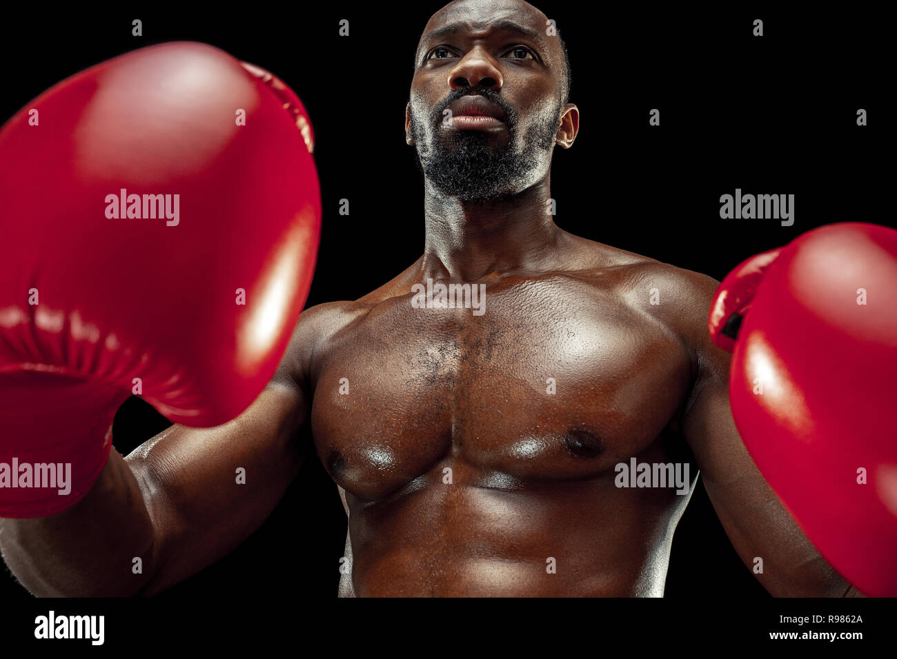 Hands of boxer over black background. Strength, attack and motion ...
