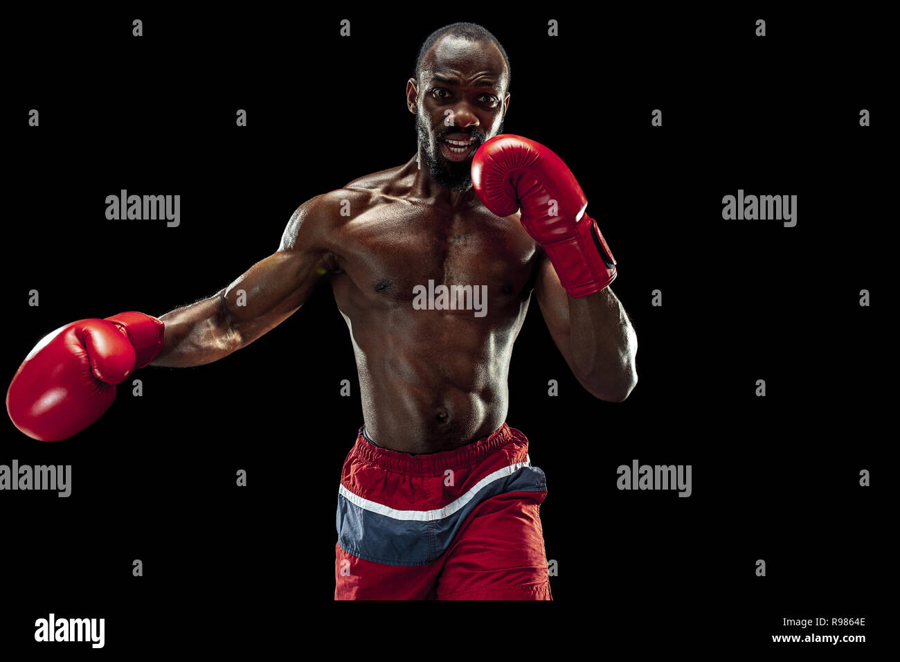 Hands of boxer over black background. Strength, attack and motion ...