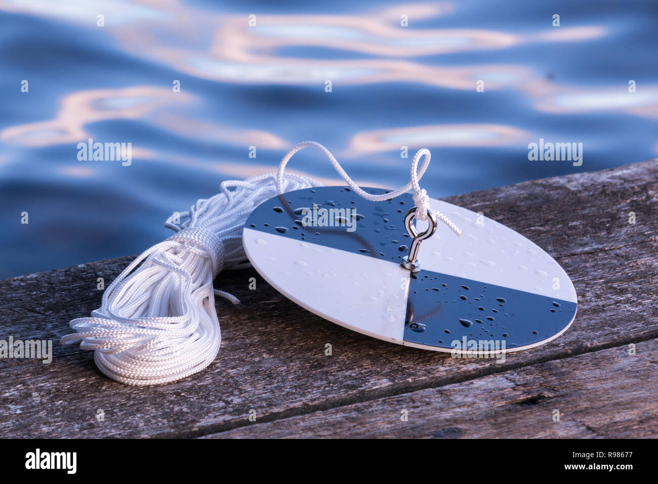 Secchi disk for turbidity hi-res stock photography and images - Alamy