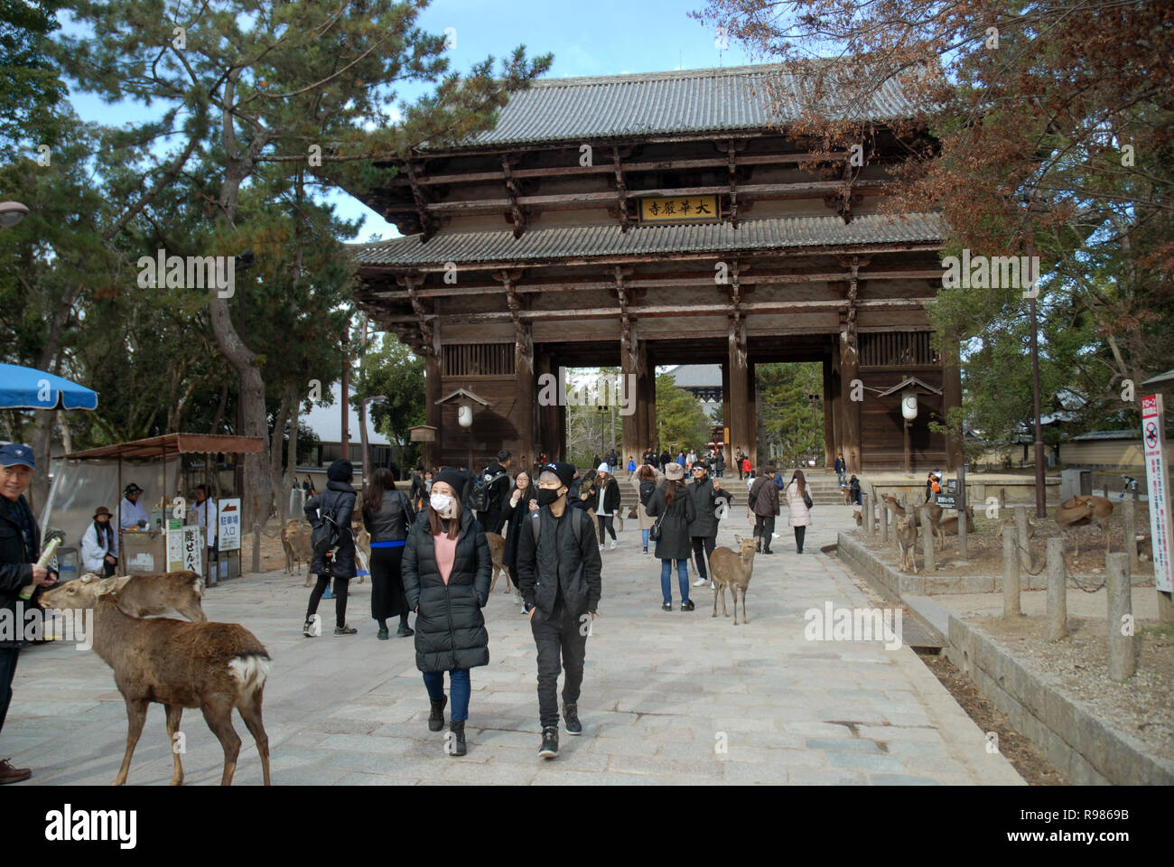 Nara Park, Nara, Japan Stock Photo - Alamy