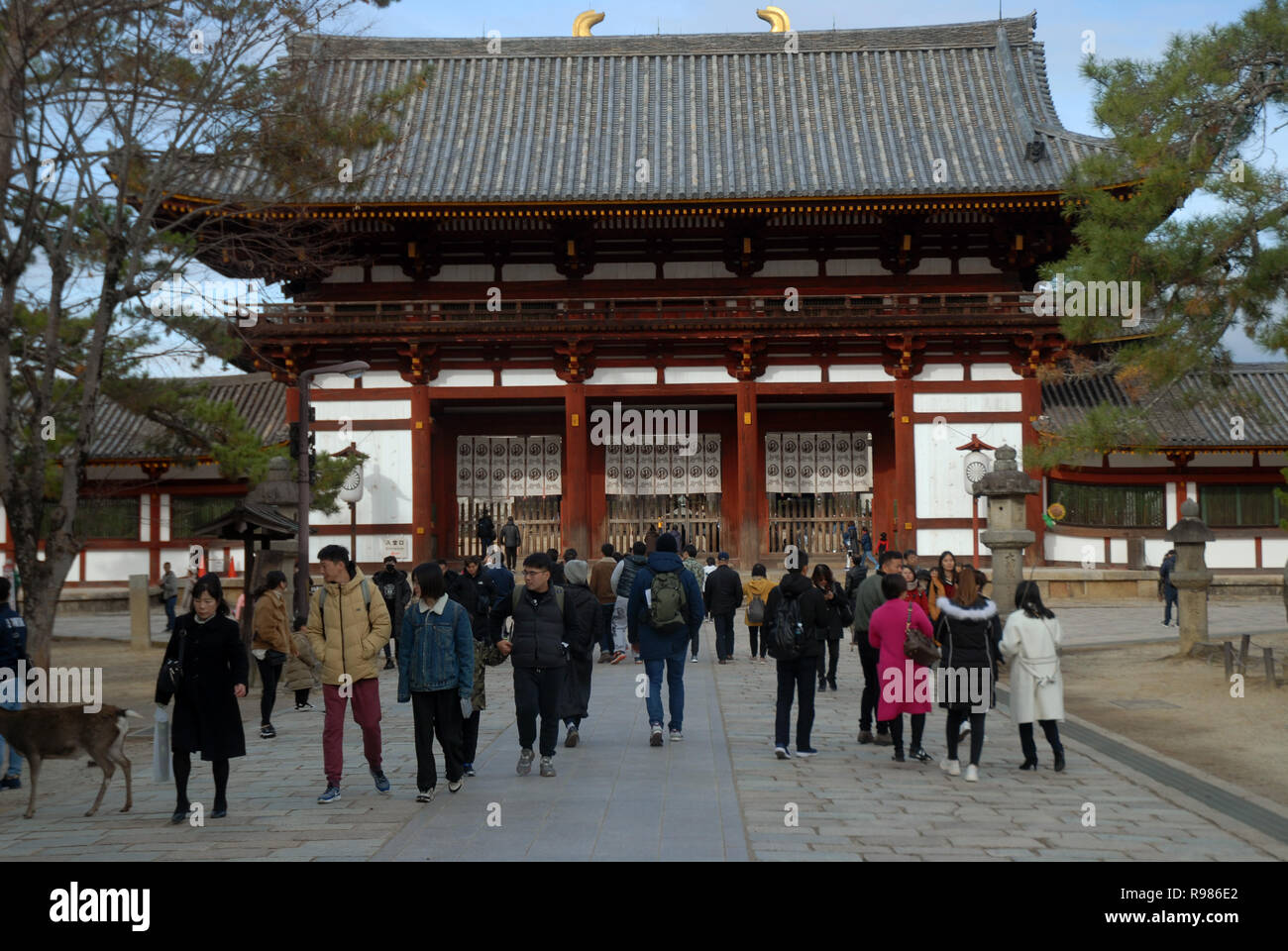 Nara Park, Nara, Japan Stock Photo - Alamy