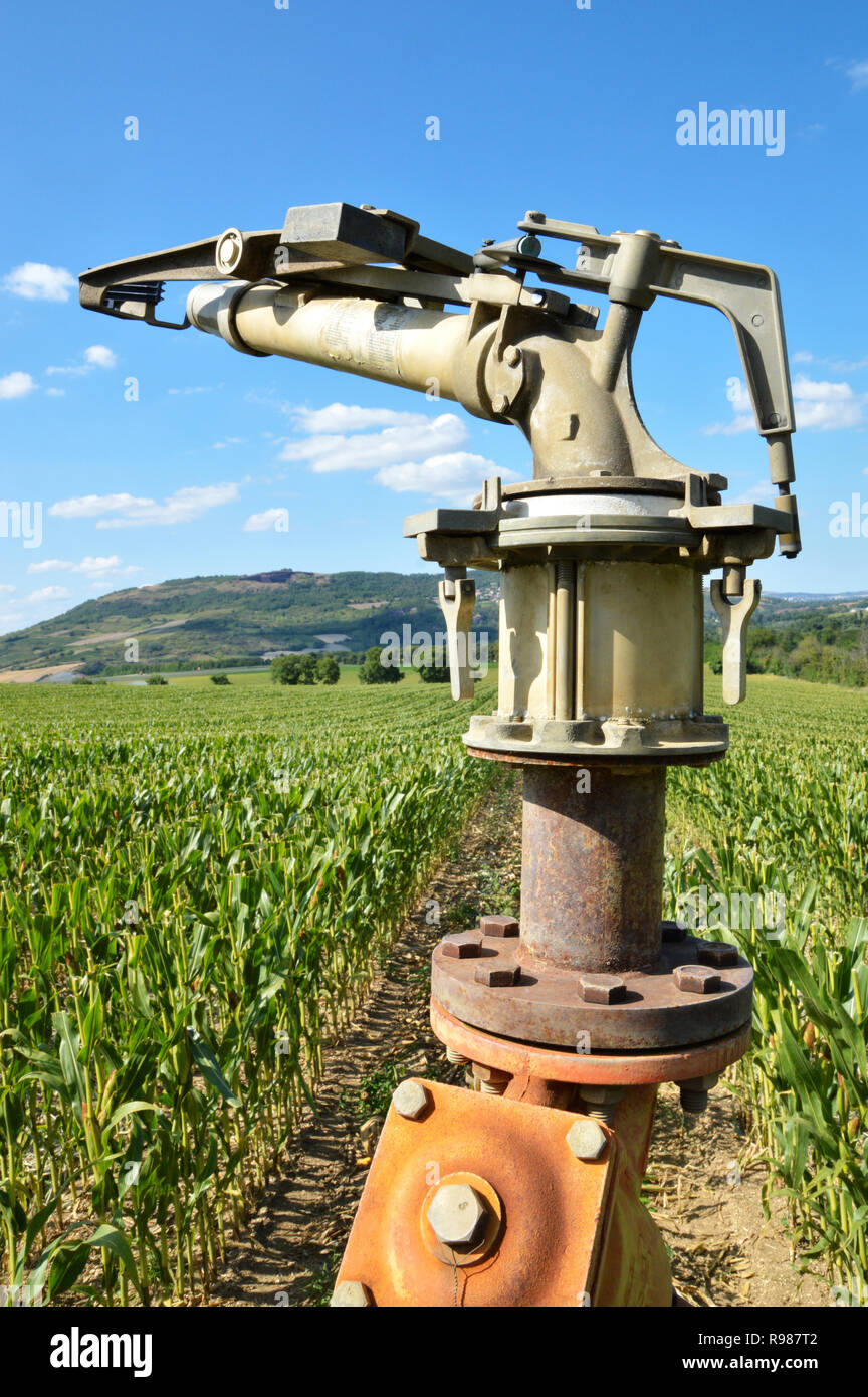 Agricultural irrigation system with a irrigation sprinkler, in a field ...