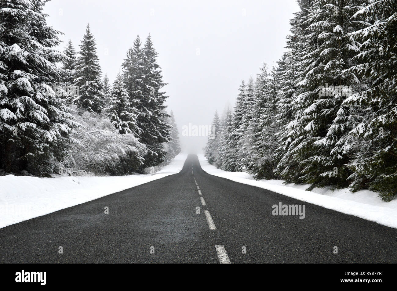 Snowy countyside road forest hi-res stock photography and images - Alamy