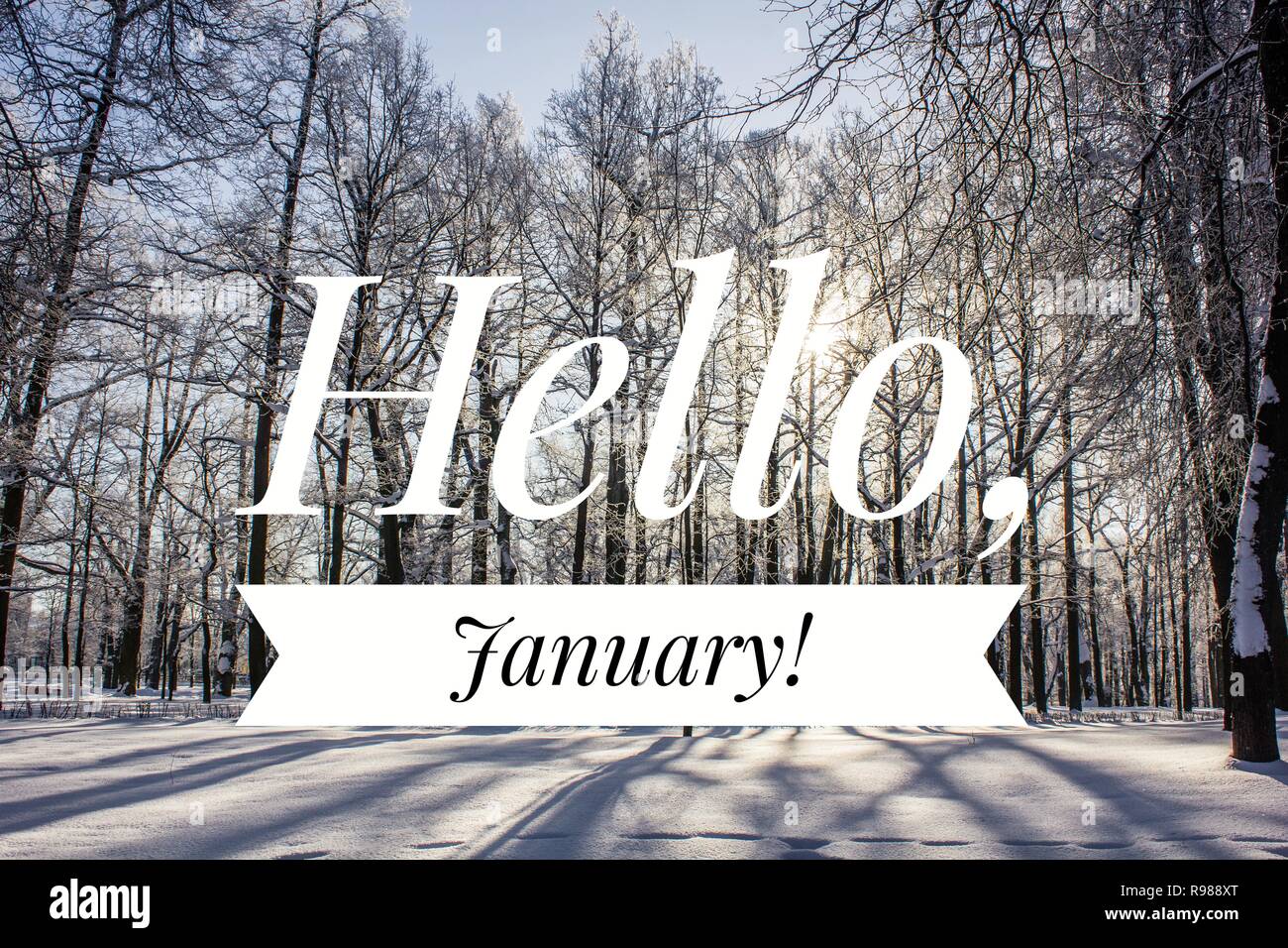Hi January photo. The beginning of the New Year. Greeting card. Hi ...
