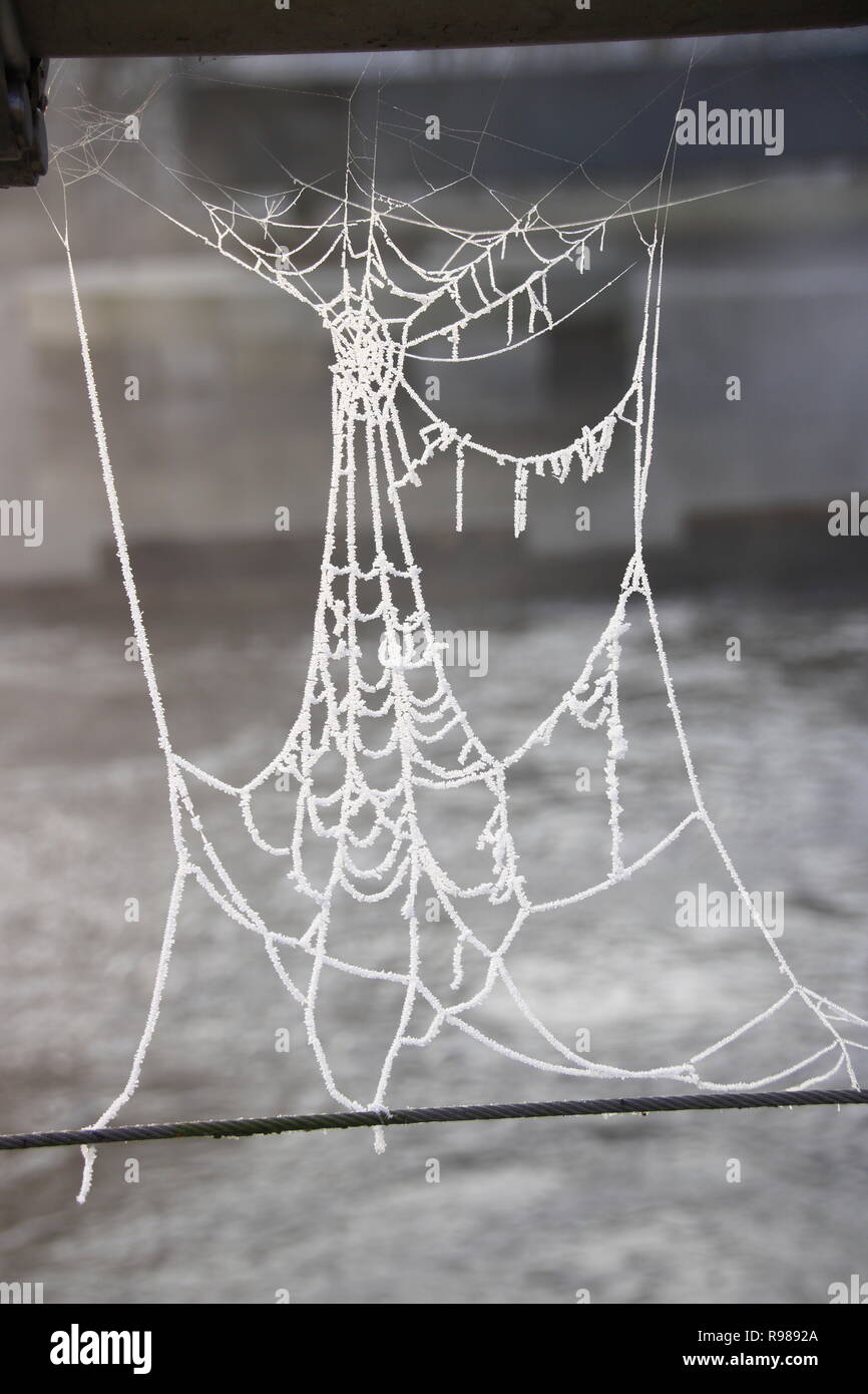 Spider web covered with frost hi-res stock photography and images - Alamy