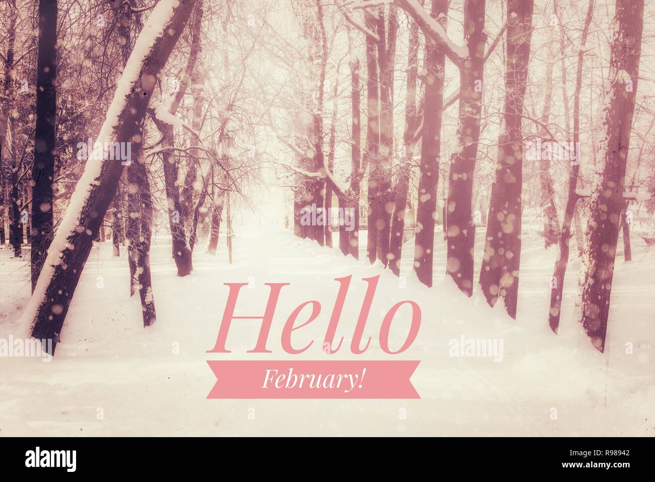 Hello february hi-res stock photography and images - Alamy