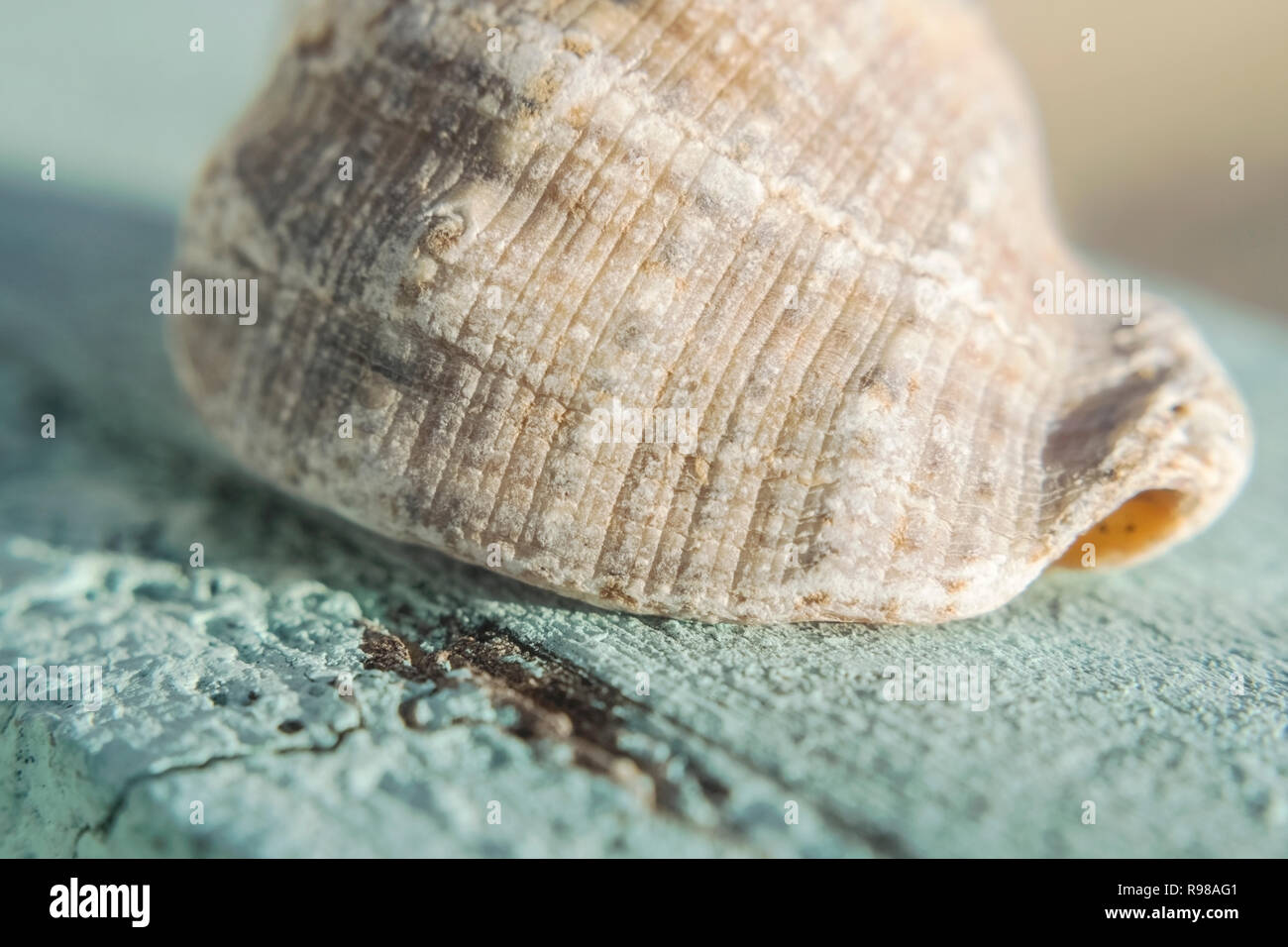 Empty shell house hi-res stock photography and images - Alamy