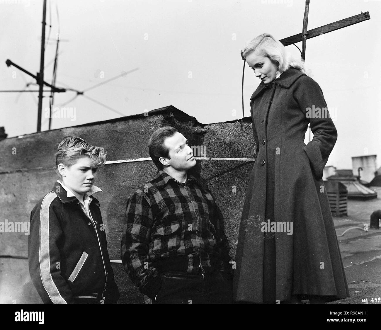 Original film title: ON THE WATERFRONT. English title: ON THE ...
