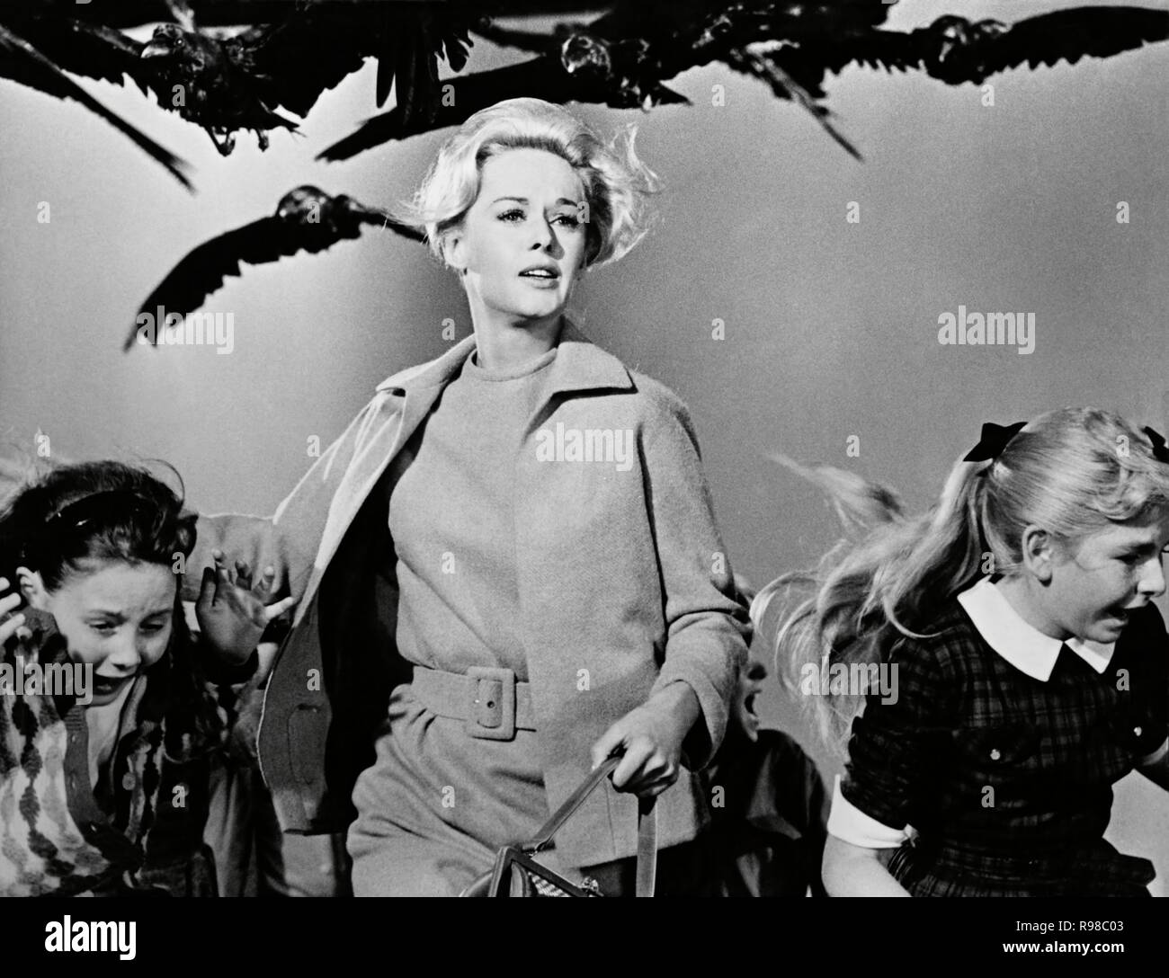 Original film title: THE BIRDS. English title: THE BIRDS. Year: 1963 ...