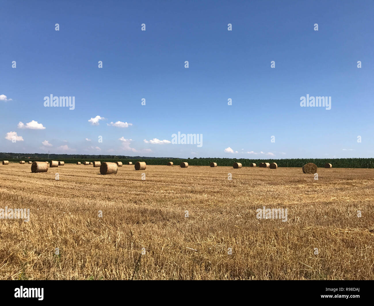 Country landscape with hay bales Stock Photo - Alamy