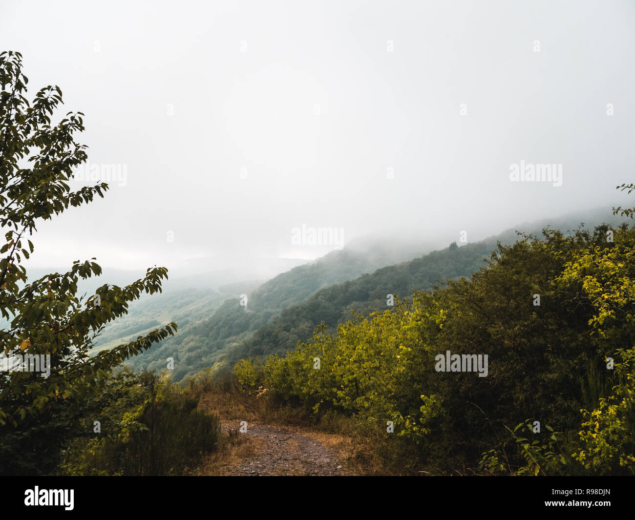 Moody landscape: hilly terrain with green forest covered in clouds and ...