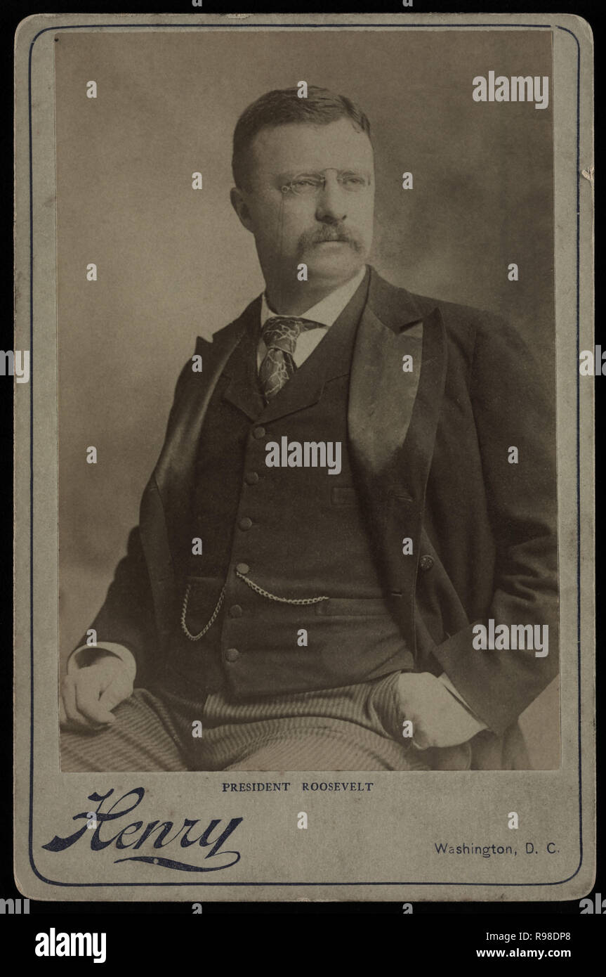 U.S. President Theodore Roosevelt, Seated Portrait by Henry, Washington ...