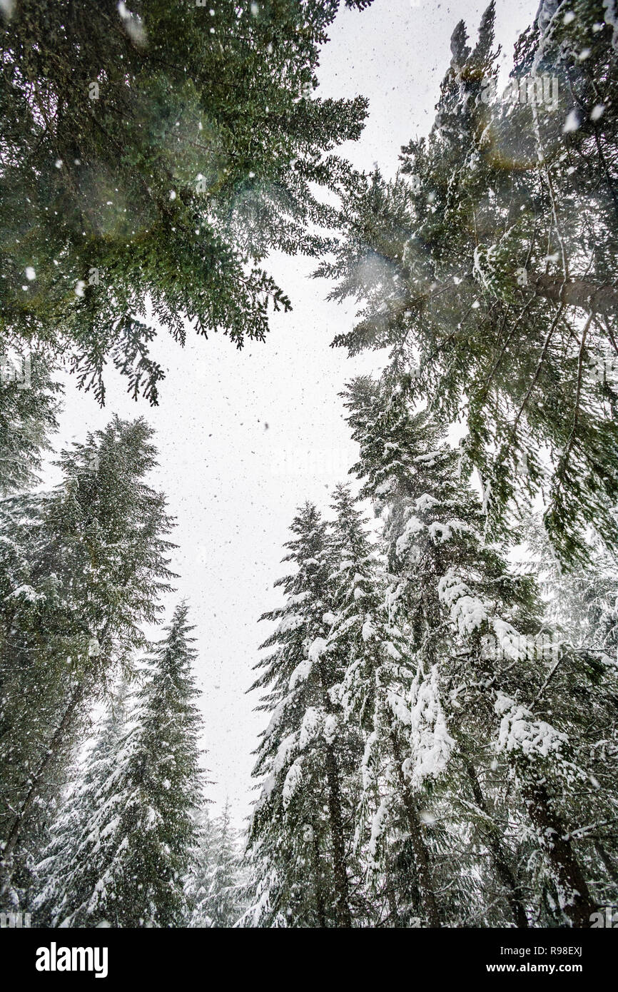 Falling skies hi-res stock photography and images - Alamy