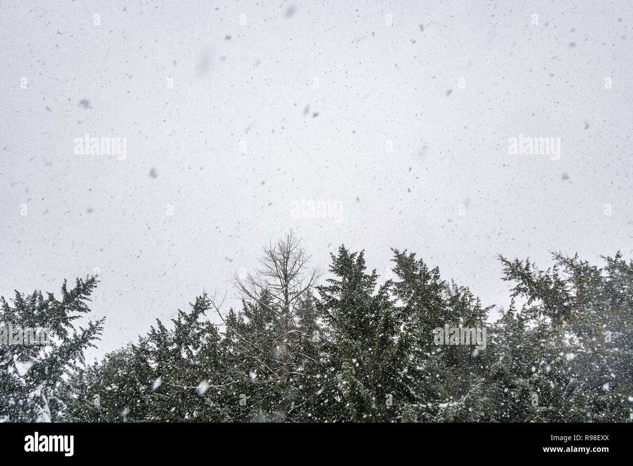 Wointer wonderland hi-res stock photography and images - Alamy