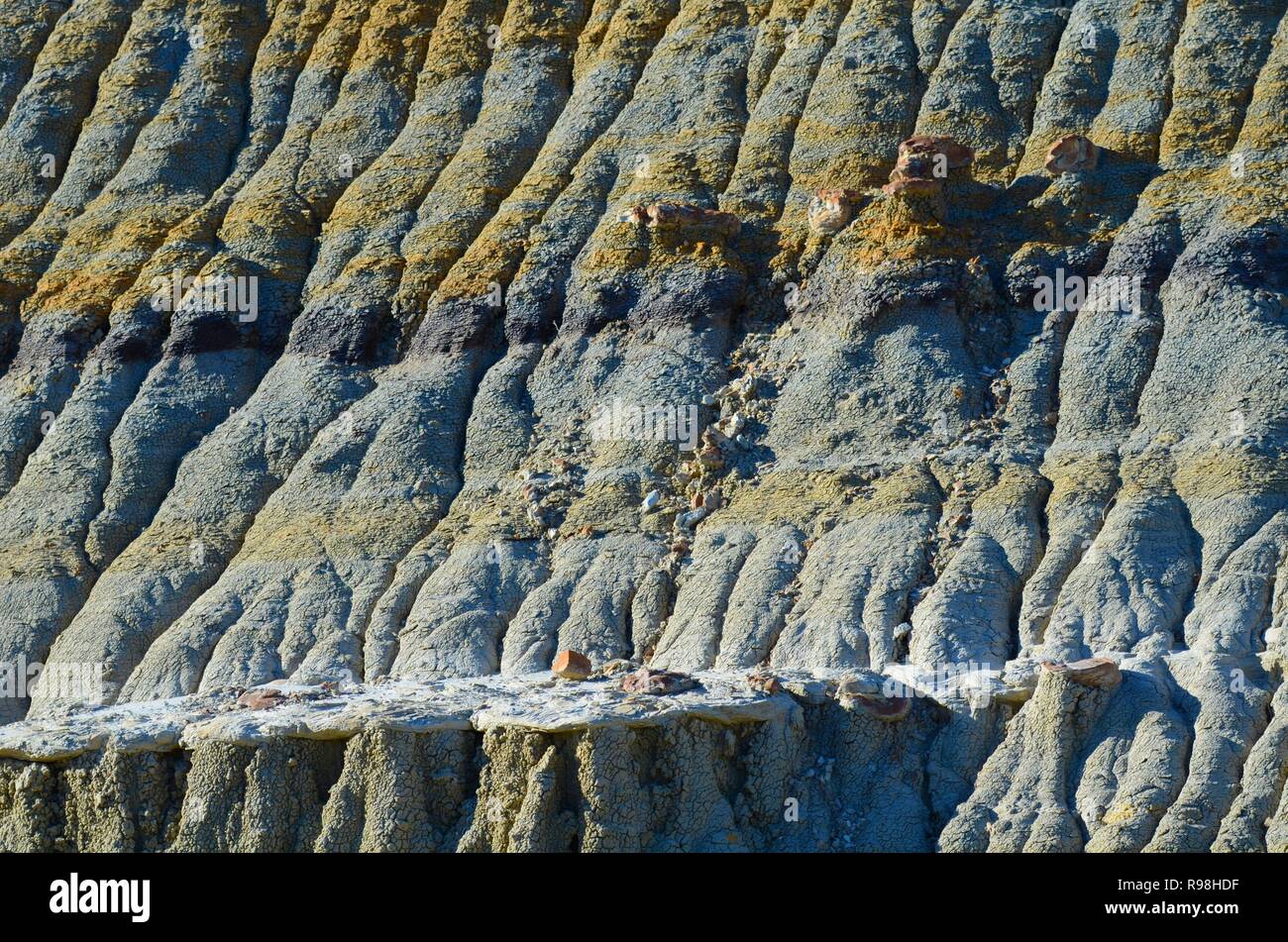 North Dakota, Medora, Theodore Roosevelt National Park, South Unit ...
