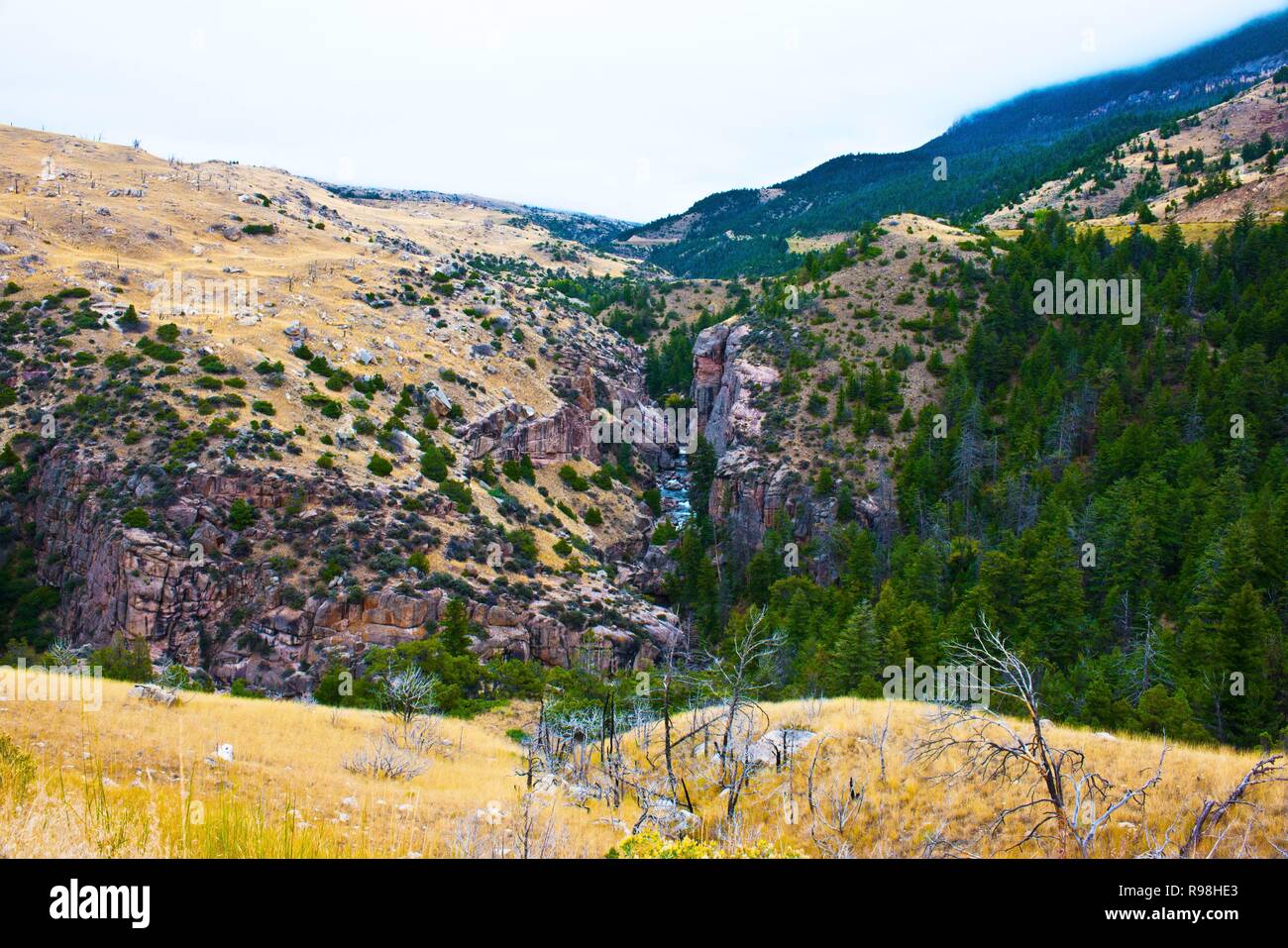 Usa wyoming bighorn canyon hi-res stock photography and images - Alamy