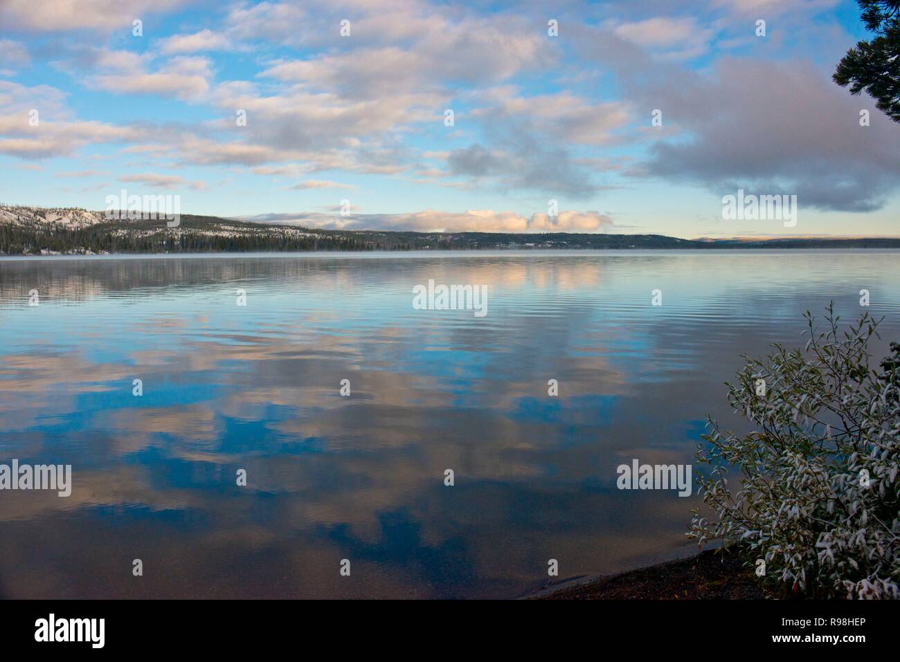 Wyoming, Yellowstone National Park, Morning Reflections on Lewis Lake ...