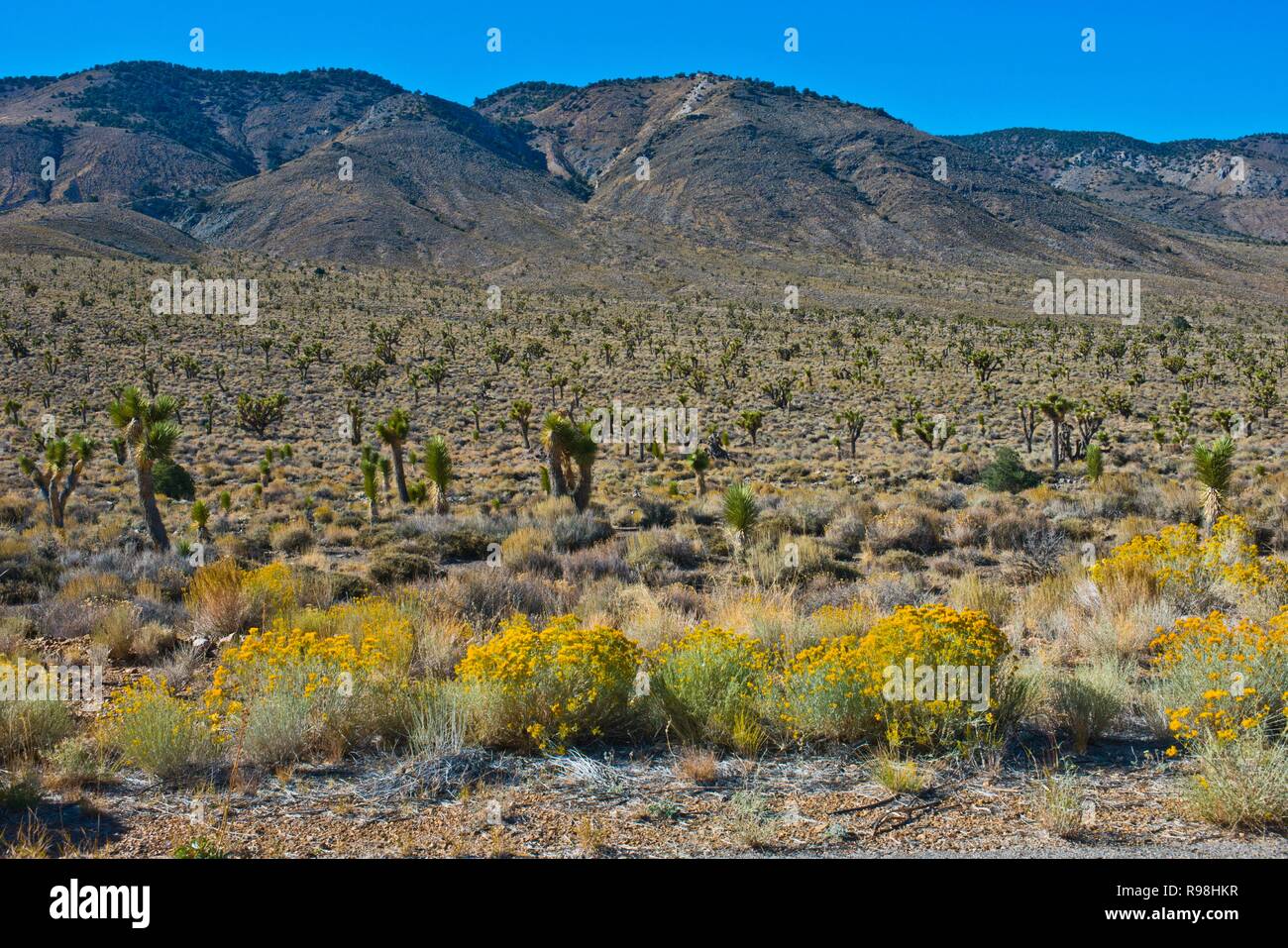 California hwy usa hi-res stock photography and images - Alamy
