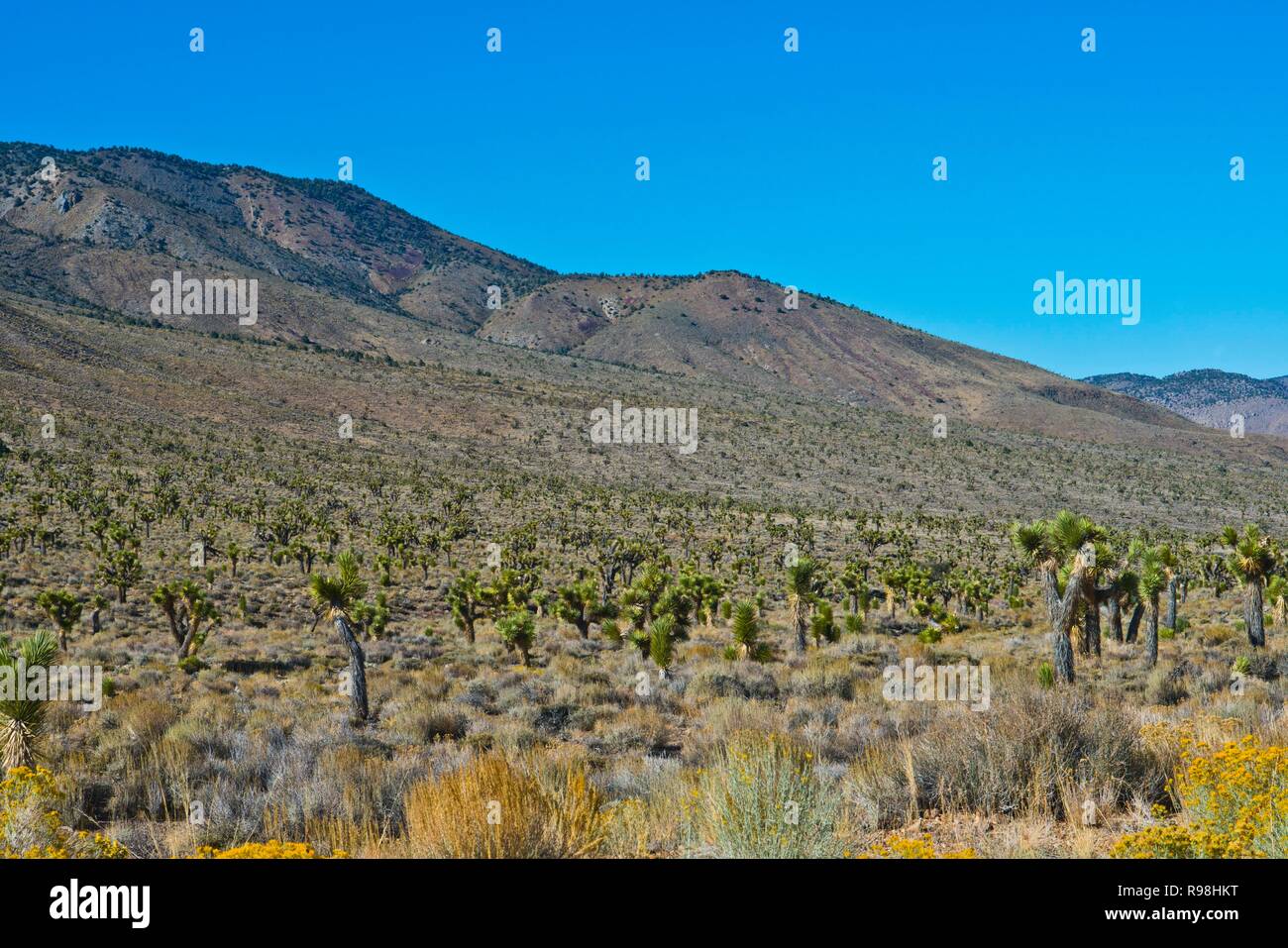 Along state hi-res stock photography and images - Alamy