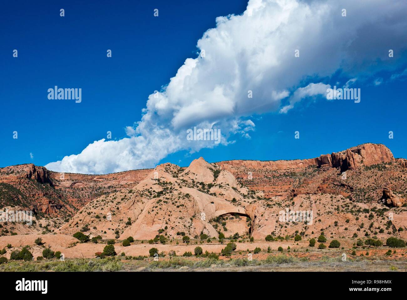 Vista 98 hi-res stock photography and images - Alamy