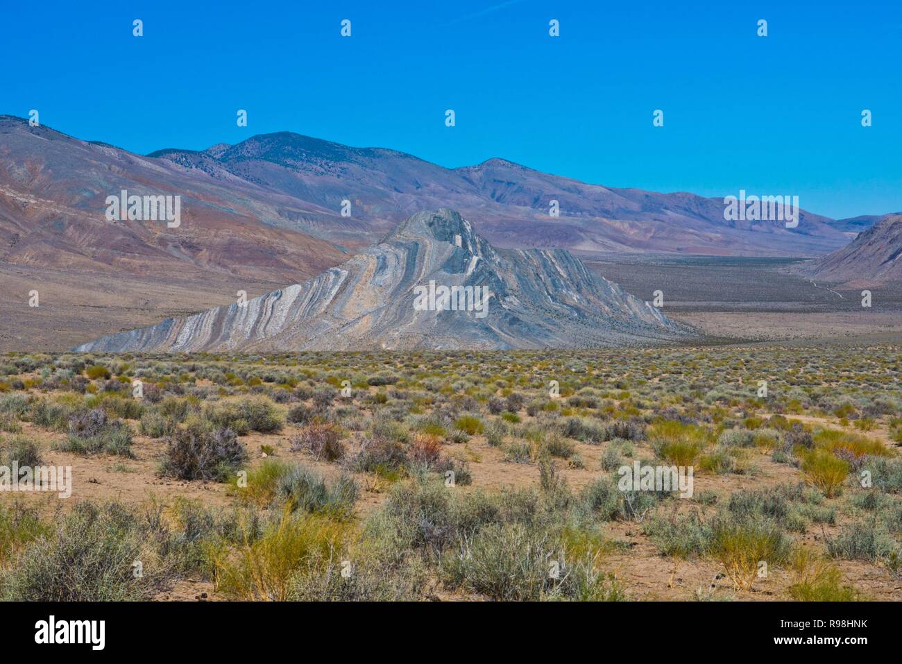 California, Death Valley National Park, Butte Valley Road, Stripped ...