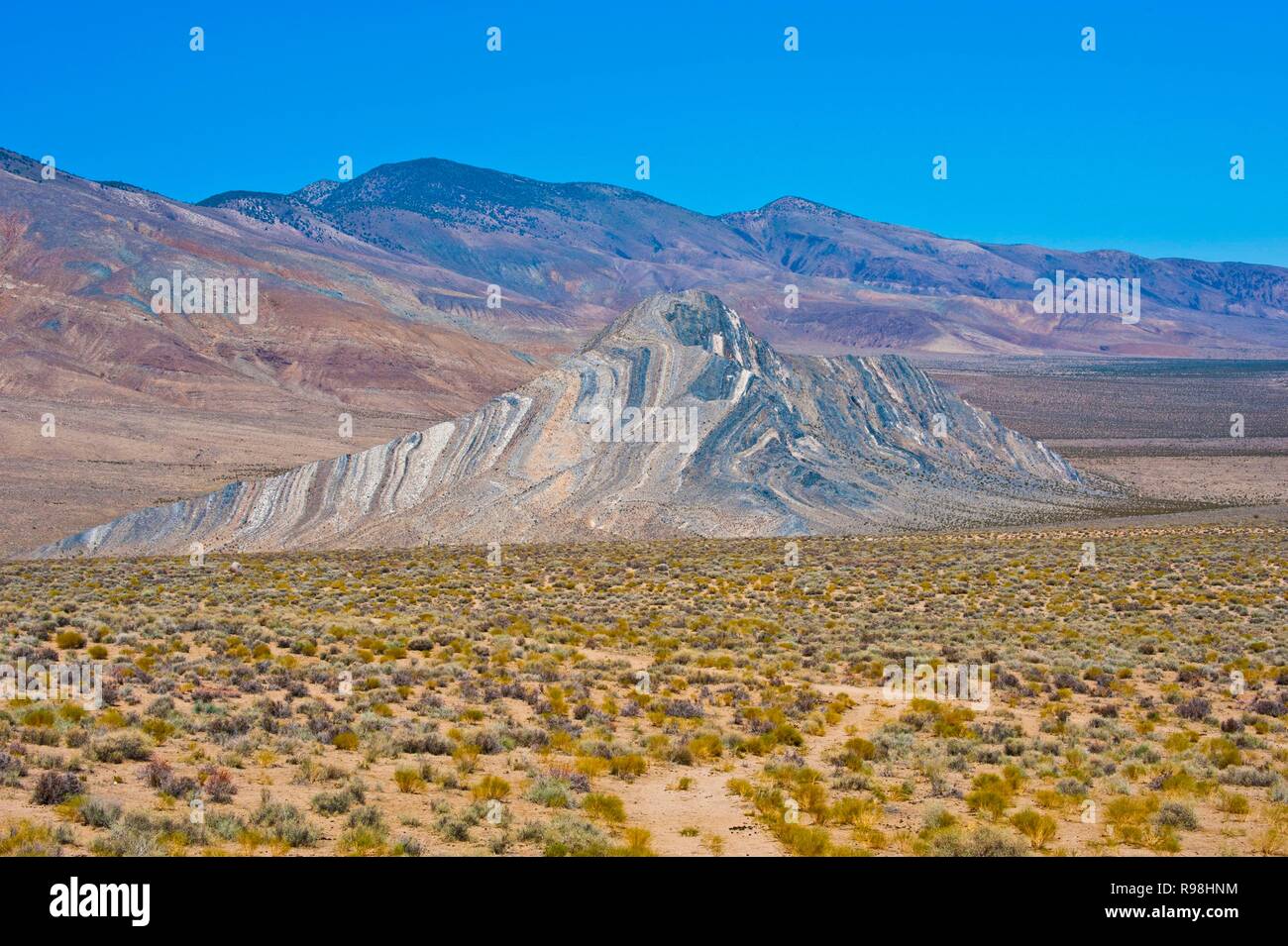 California, Death Valley National Park, Butte Valley Road, Stripped ...