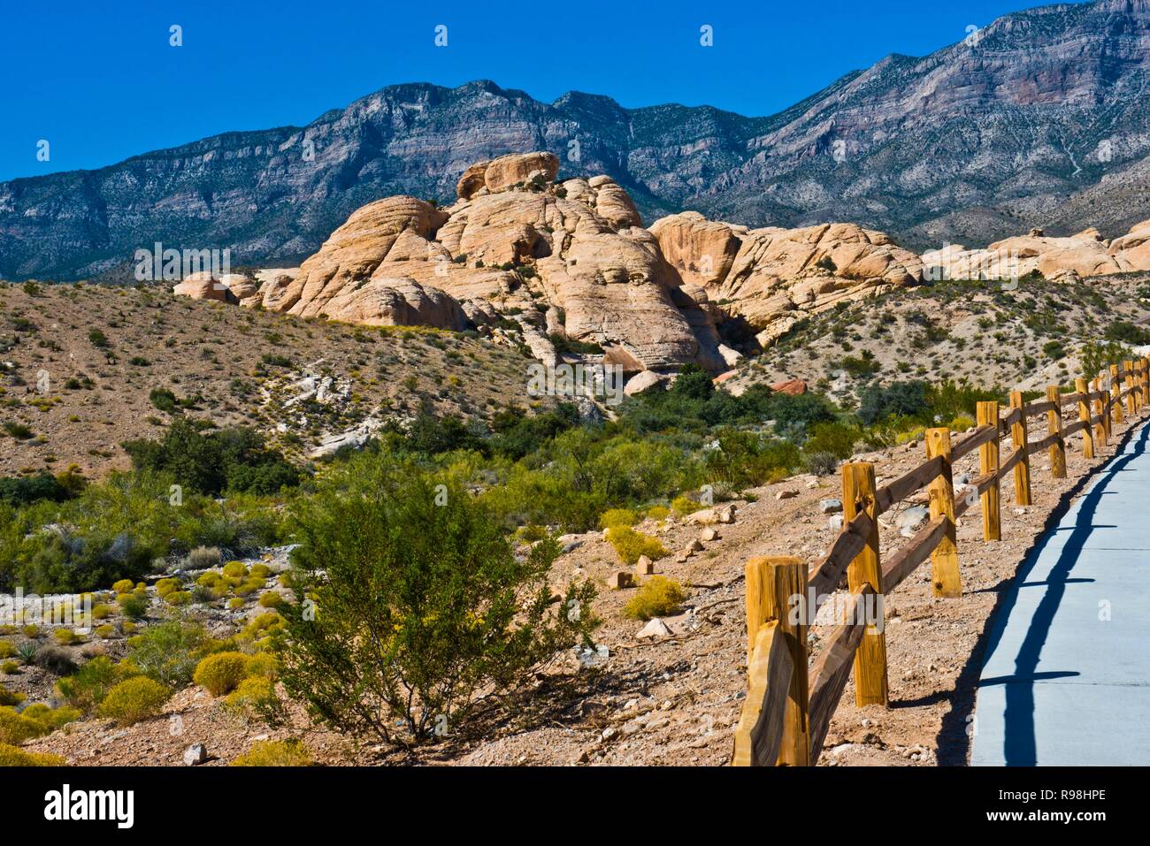 Nevada, Las Vegas, Red Rock National Conservation Area, Sandstone ...