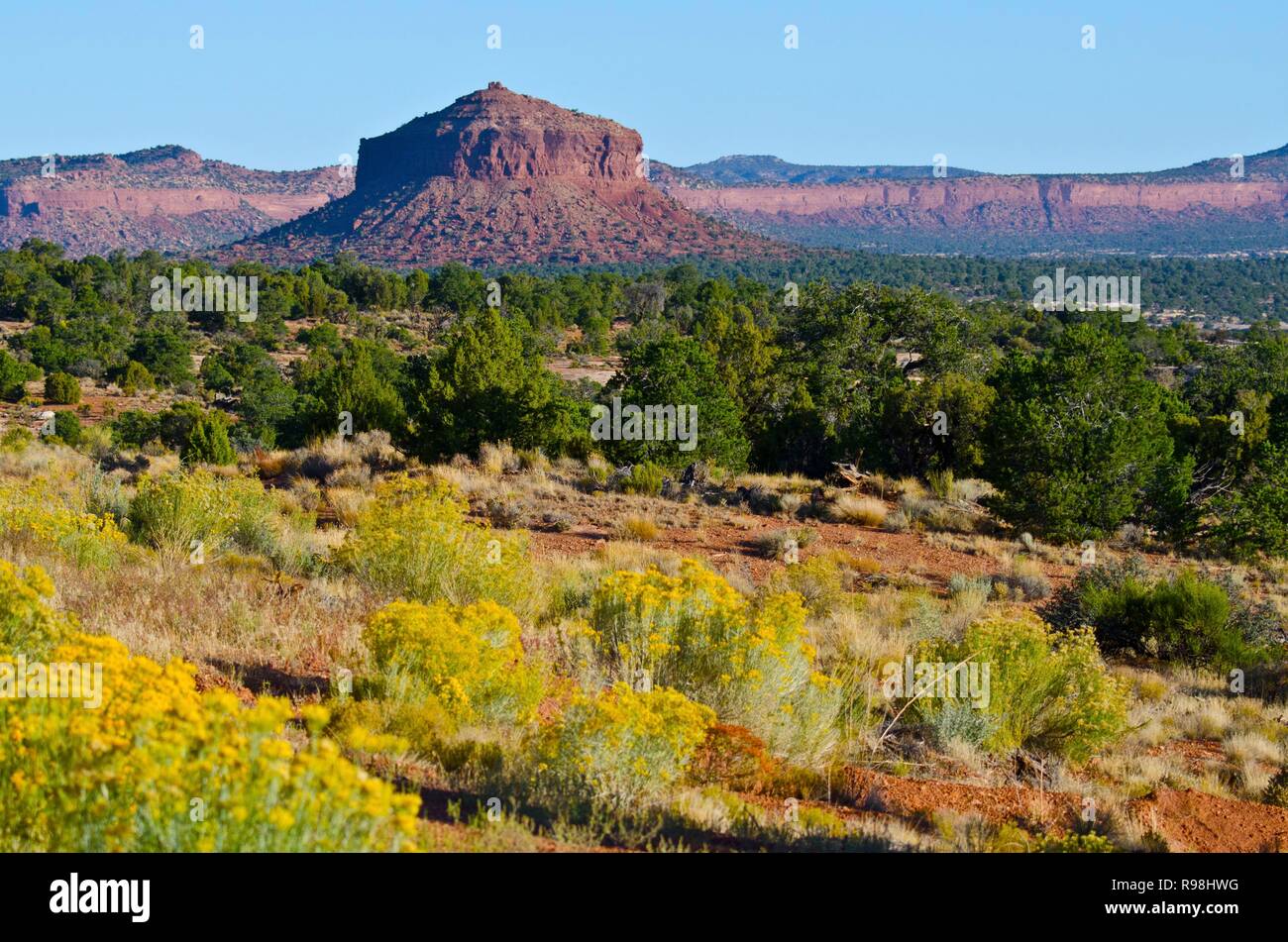 Utah, Fry Canyon, Cheese Box Stock Photo - Alamy