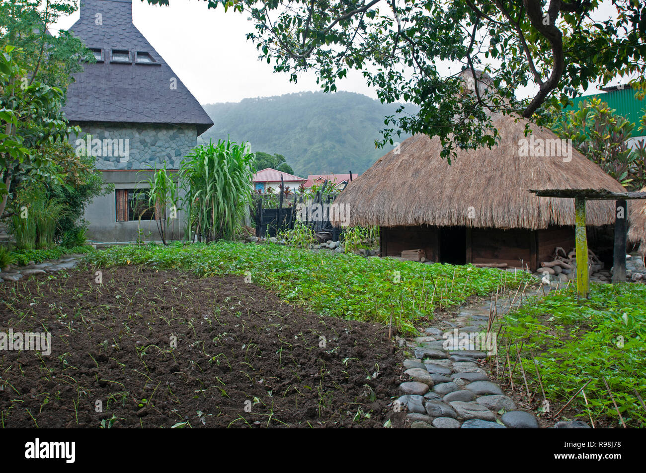 Bontoc Museum at Bontoc, Bontoc Rice Terraces, Mountain Region, Luzon ...