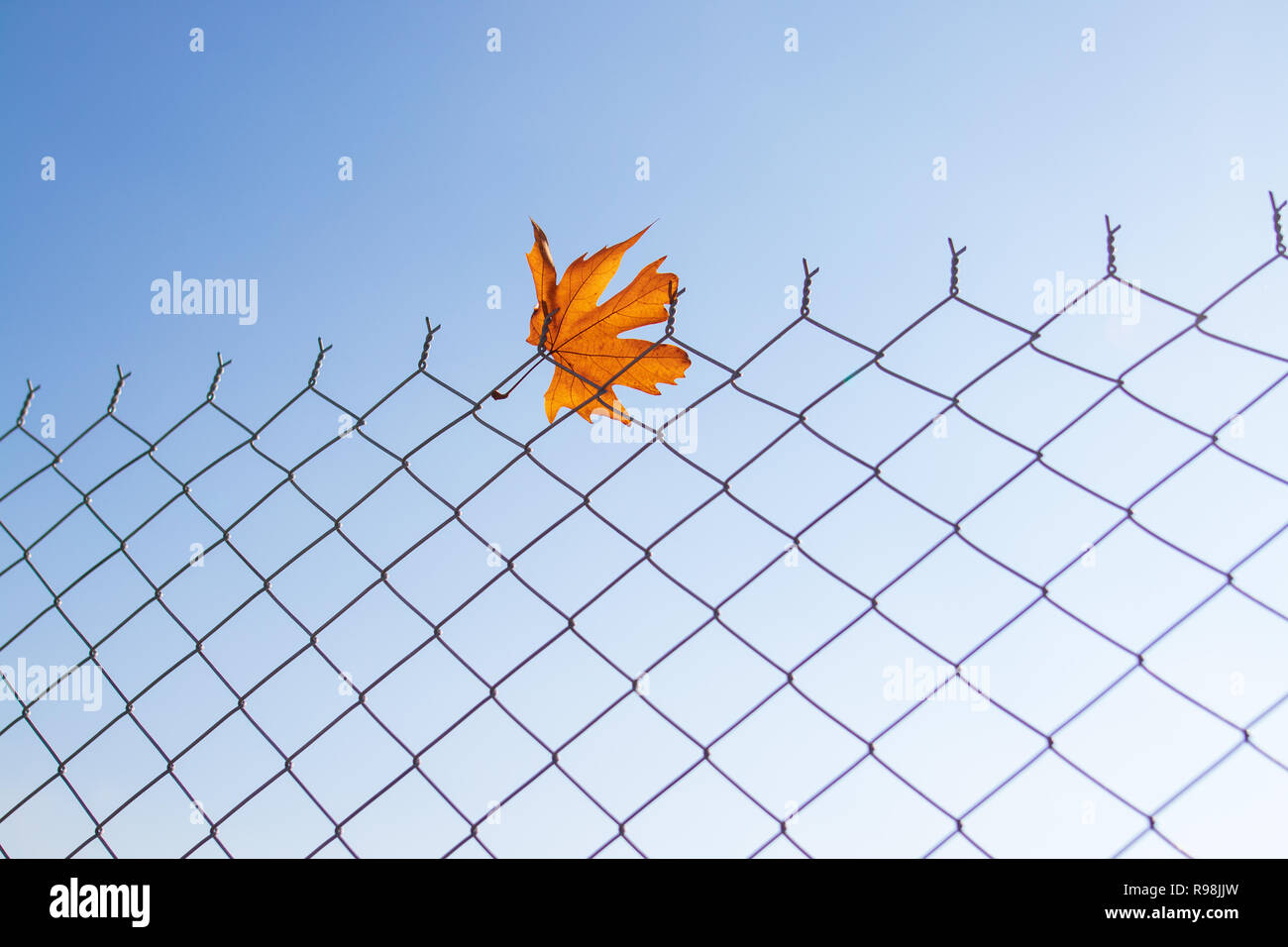 Checkered fence hi-res stock photography and images - Alamy