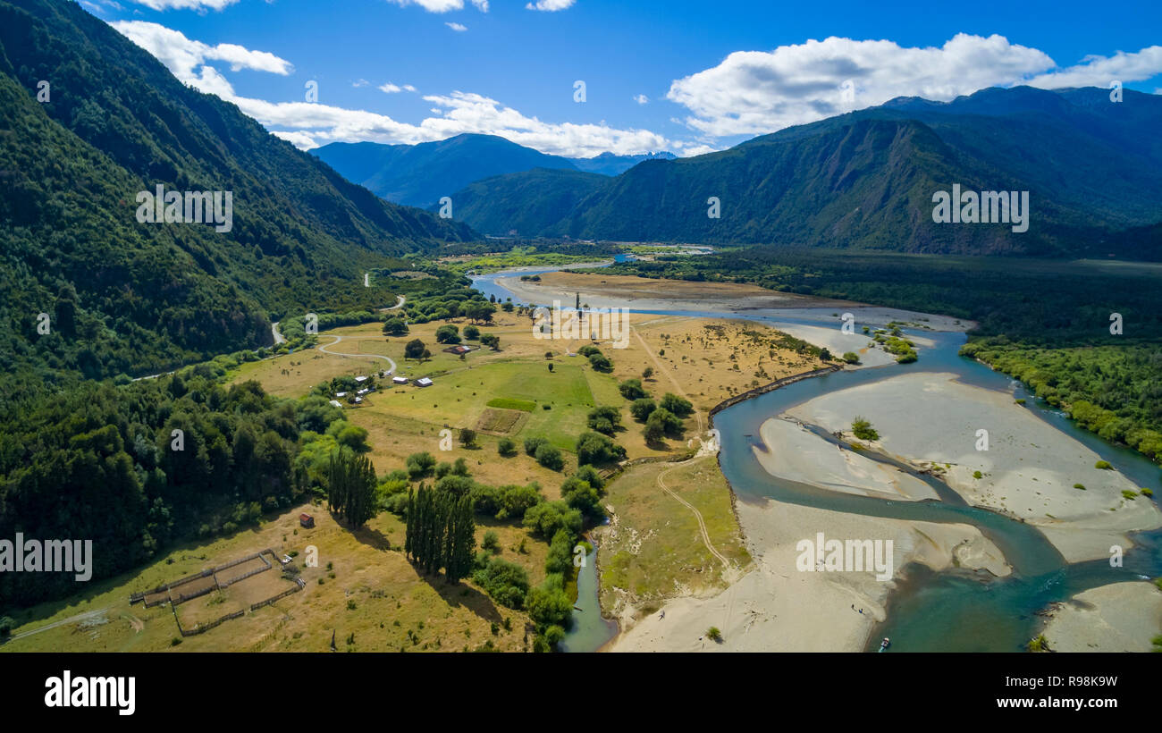 Native trees chile hi-res stock photography and images - Alamy