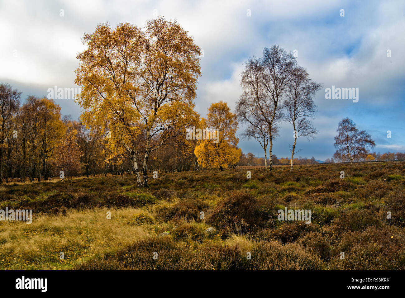 Lawrence field hi-res stock photography and images - Alamy