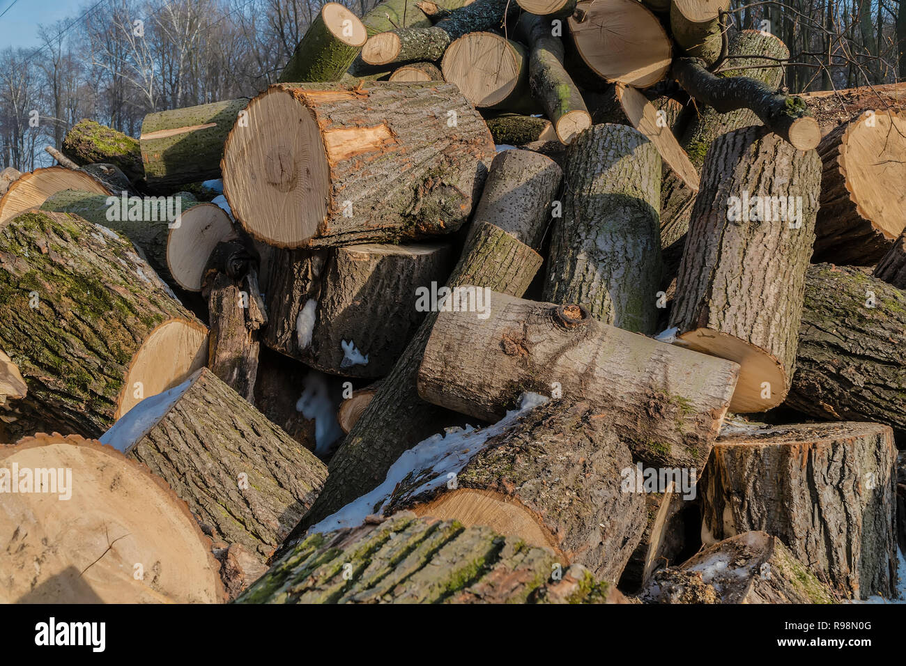 Uprooted stumps hi-res stock photography and images - Alamy