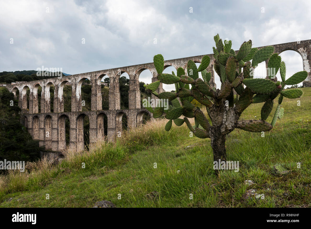 “Nopalera”, nopal cactus plant. Landscape at Arcos de Sitio, Tepozotlan ...