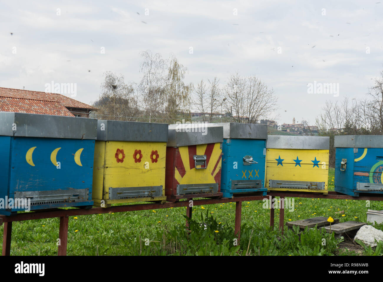 Meadow plants food plants for insects hi-res stock photography and ...