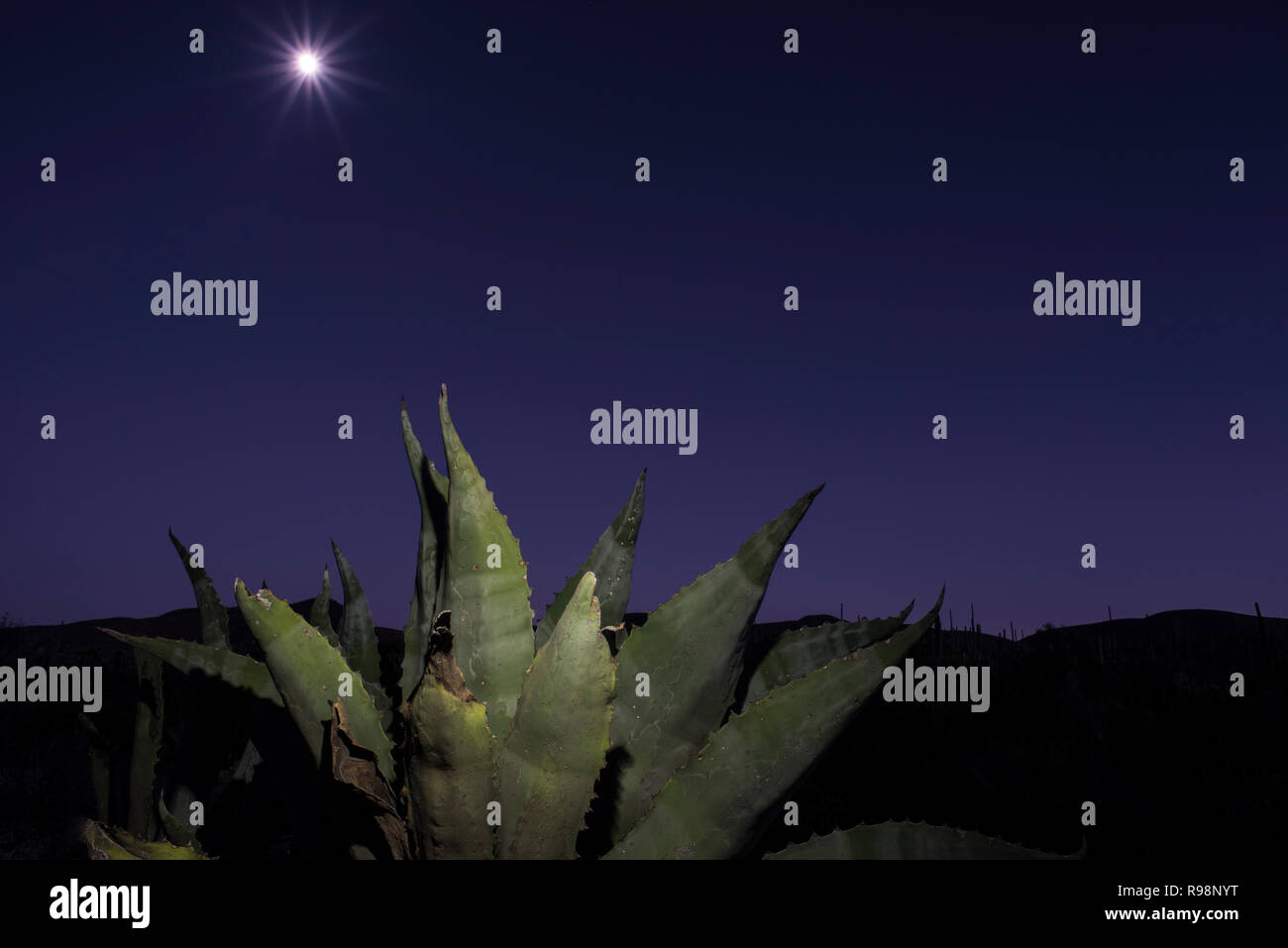 Tehuacan mexico hi-res stock photography and images - Alamy