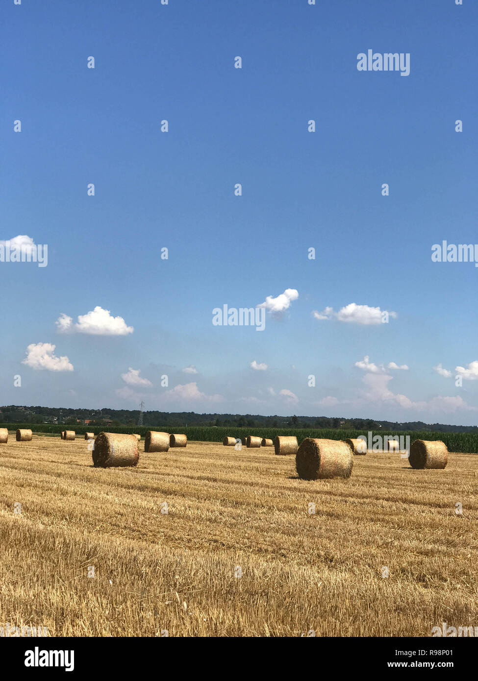 Country landscape with hay bales Stock Photo - Alamy